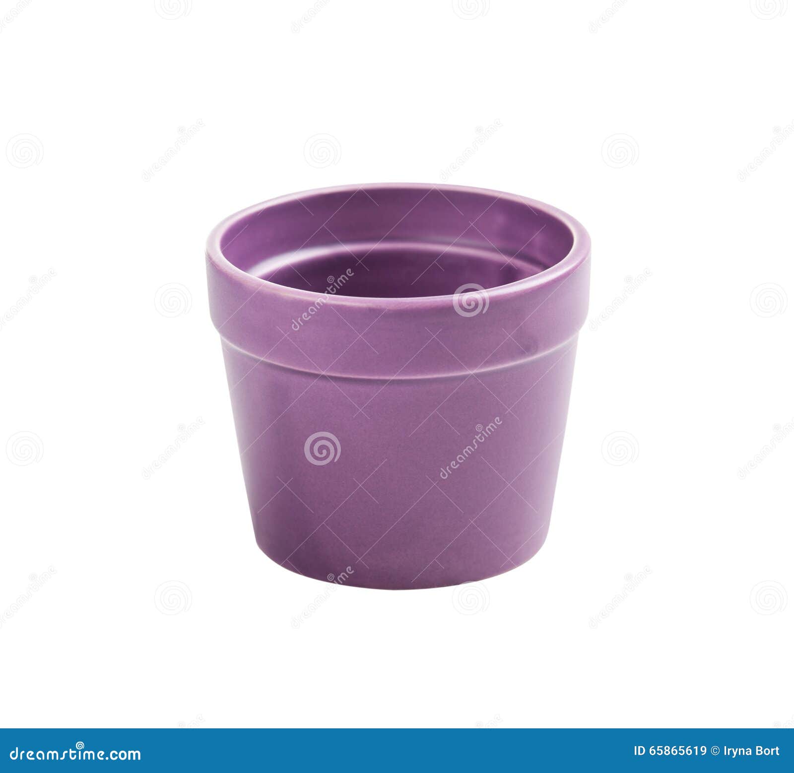 Purple Flower Pot Isolated stock image. Image of growth - 65865619