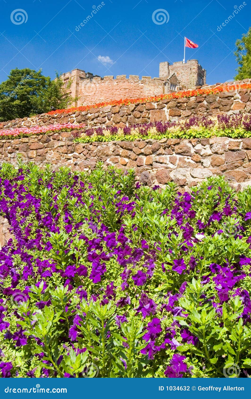 Purple flowers and castle stock photo. Image of colours - 1034632