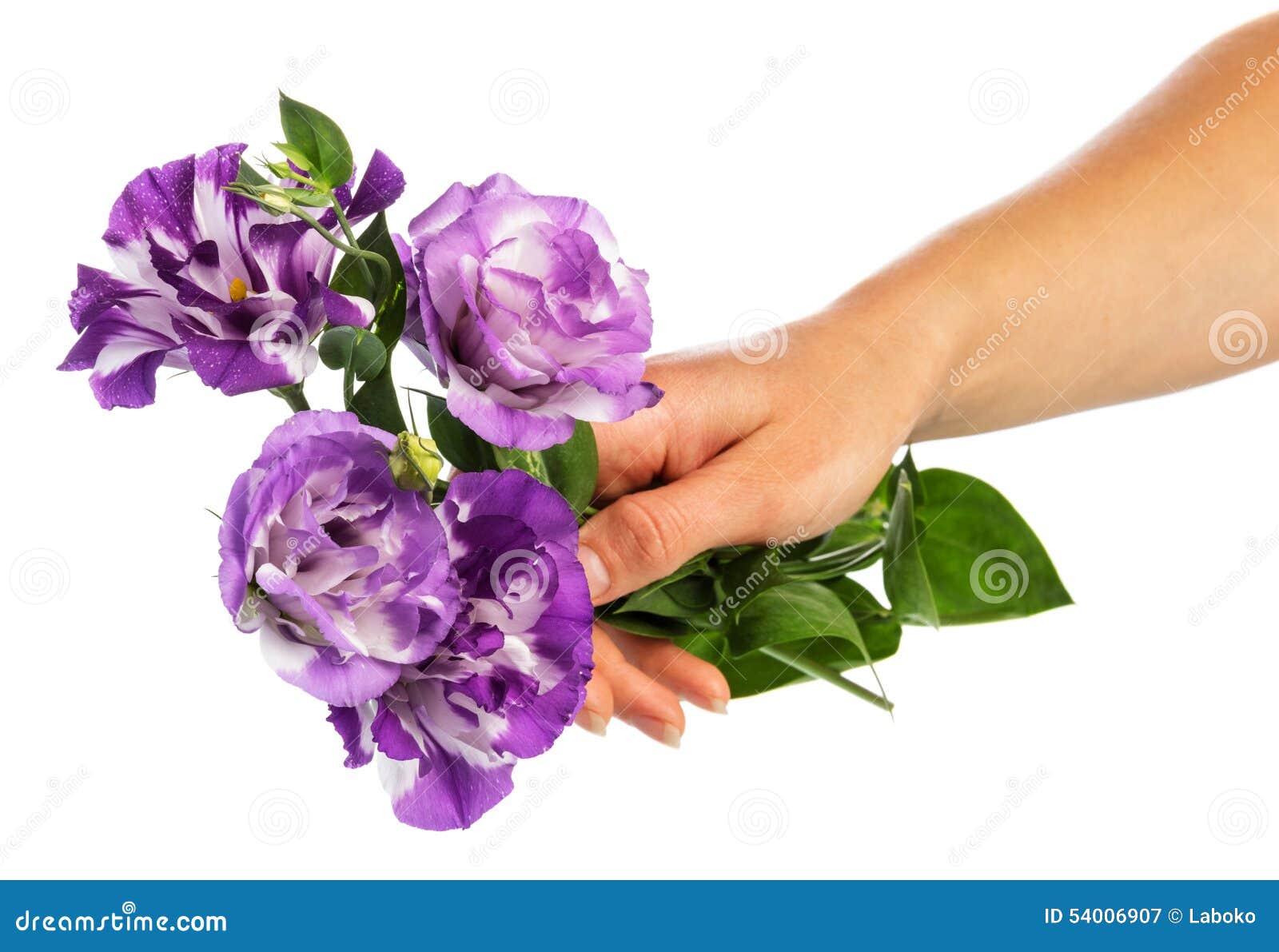 Purple flowers in hand stock image. Image of bouquet - 54006907
