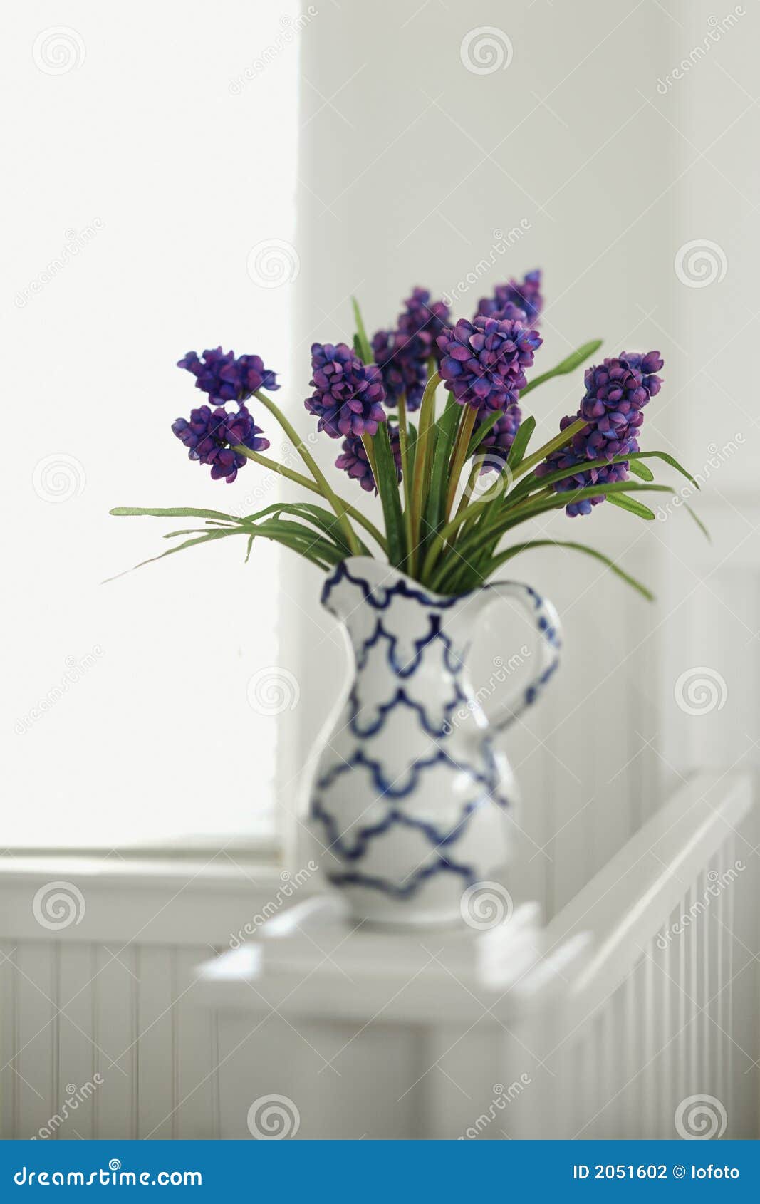 Purple flowers in pitcher stock photo. Image of floral - 2051602