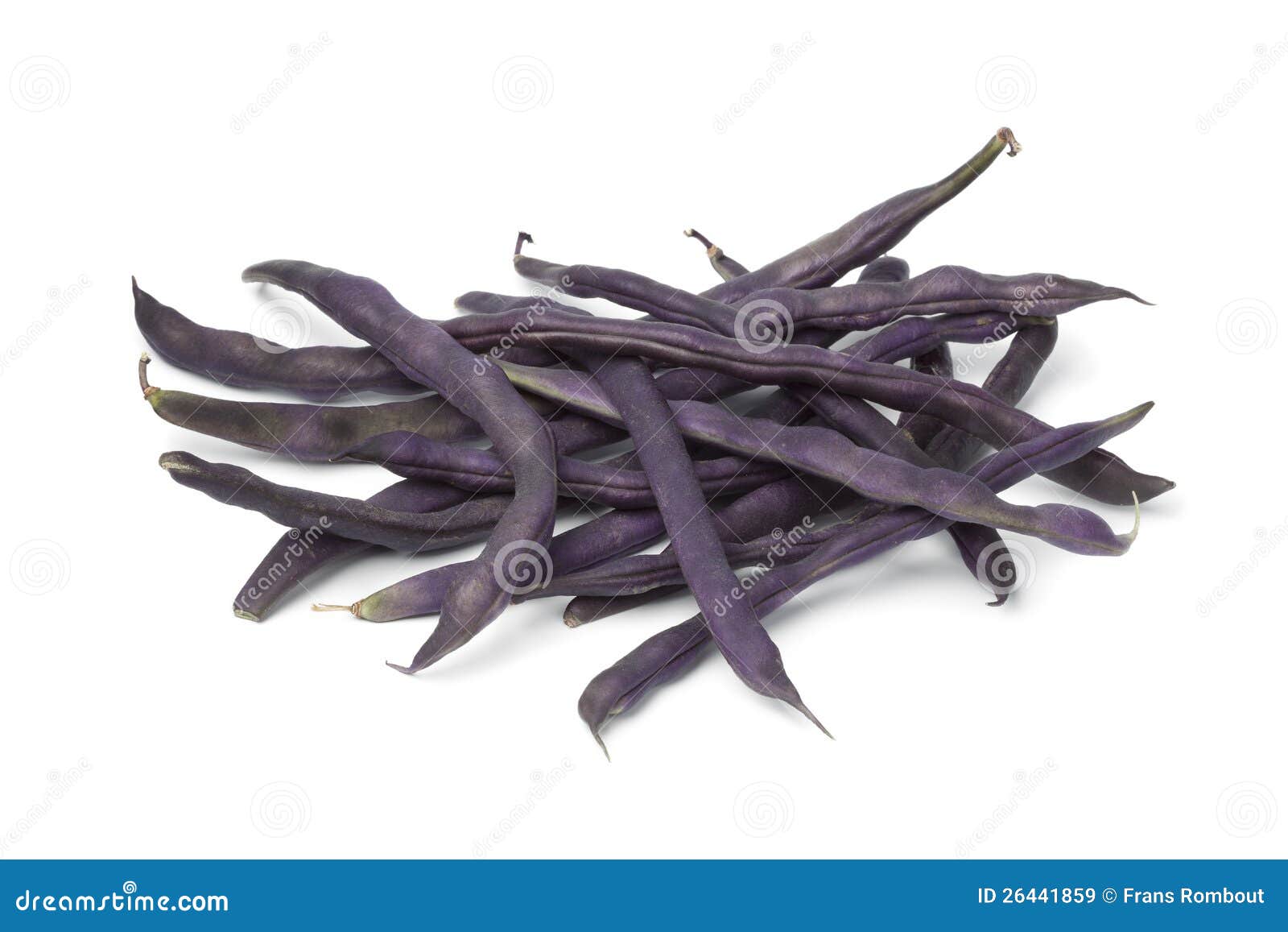 Purple fresh beans stock image. Image of studio, heirloom - 26441859