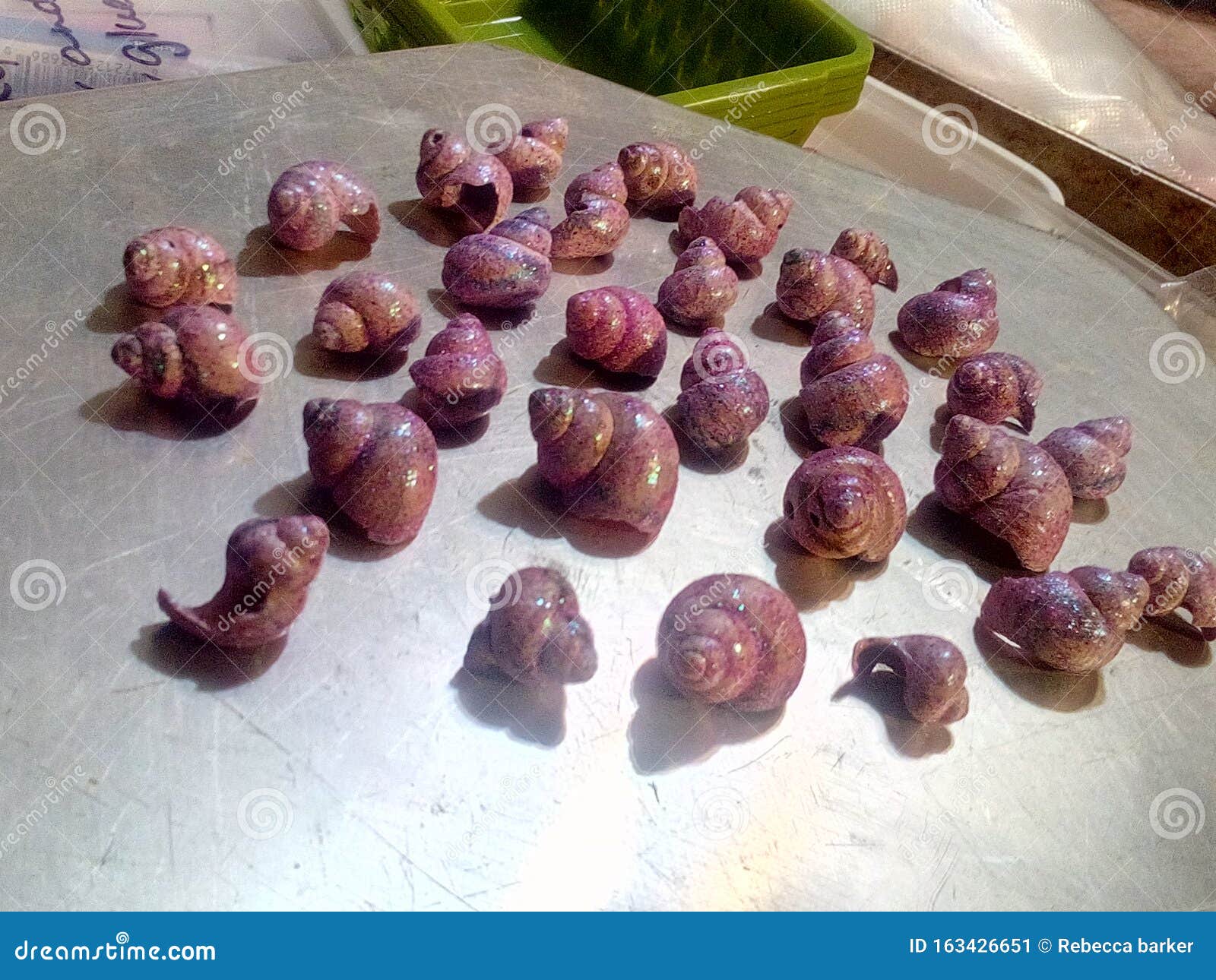 Purple Glittered Colored Tiny Sea Shells Dyed Stock Image - Image of ...