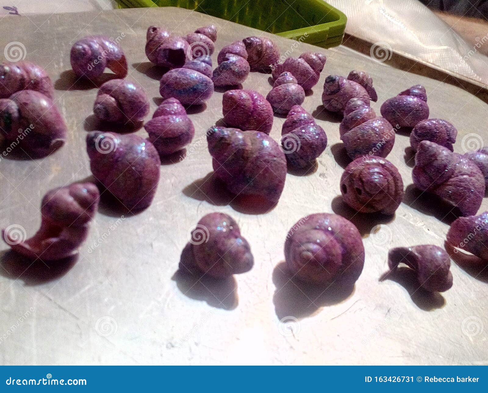 Purple Glittered Colored Tiny Sea Shells Dyed Stock Image - Image of ...