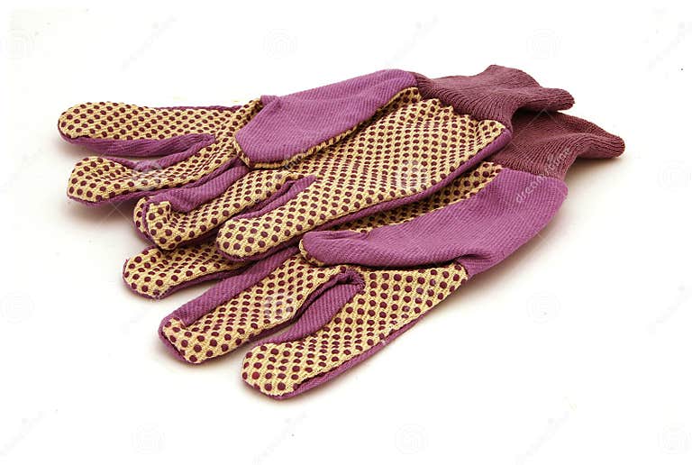 Purple gloves stock image. Image of garden, gloves, mauve - 1981825