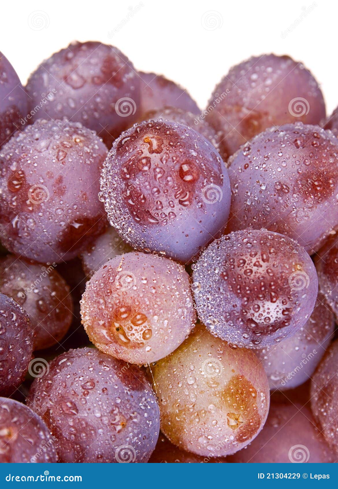 Purple grape stock image. Image of sweet, purple, white - 21304229