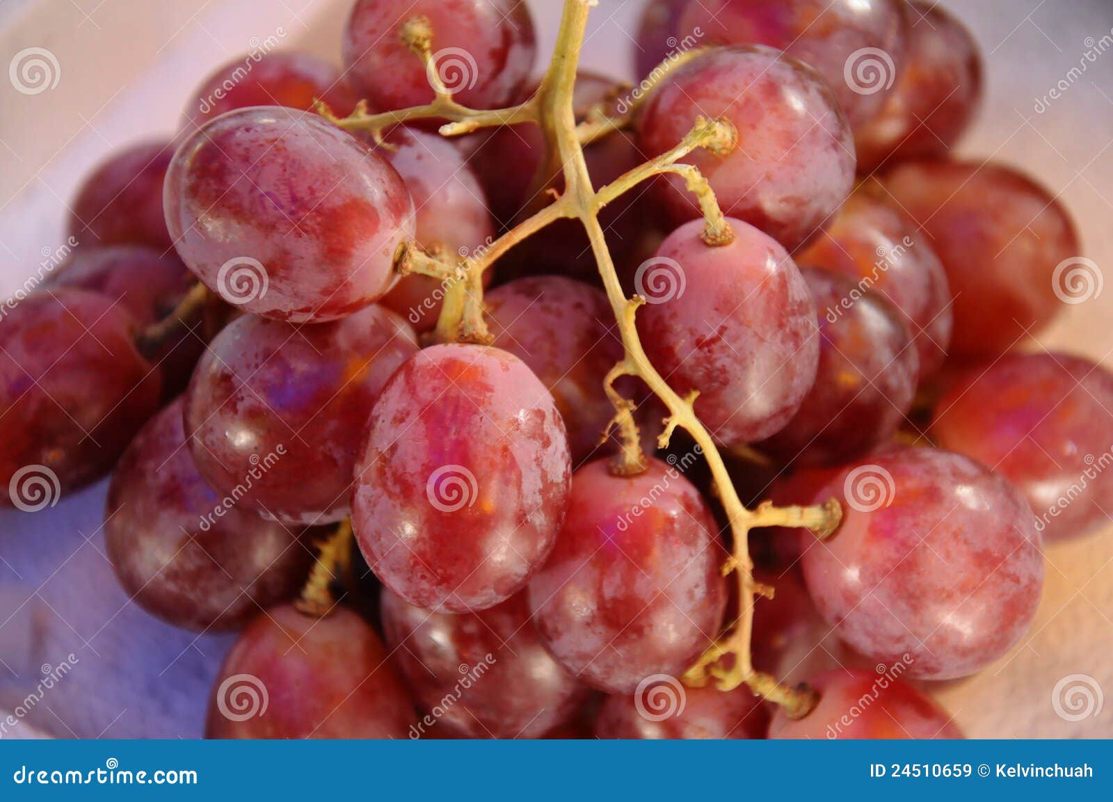 Purple grape fruit stock image. Image of fruit, sweet - 24510659