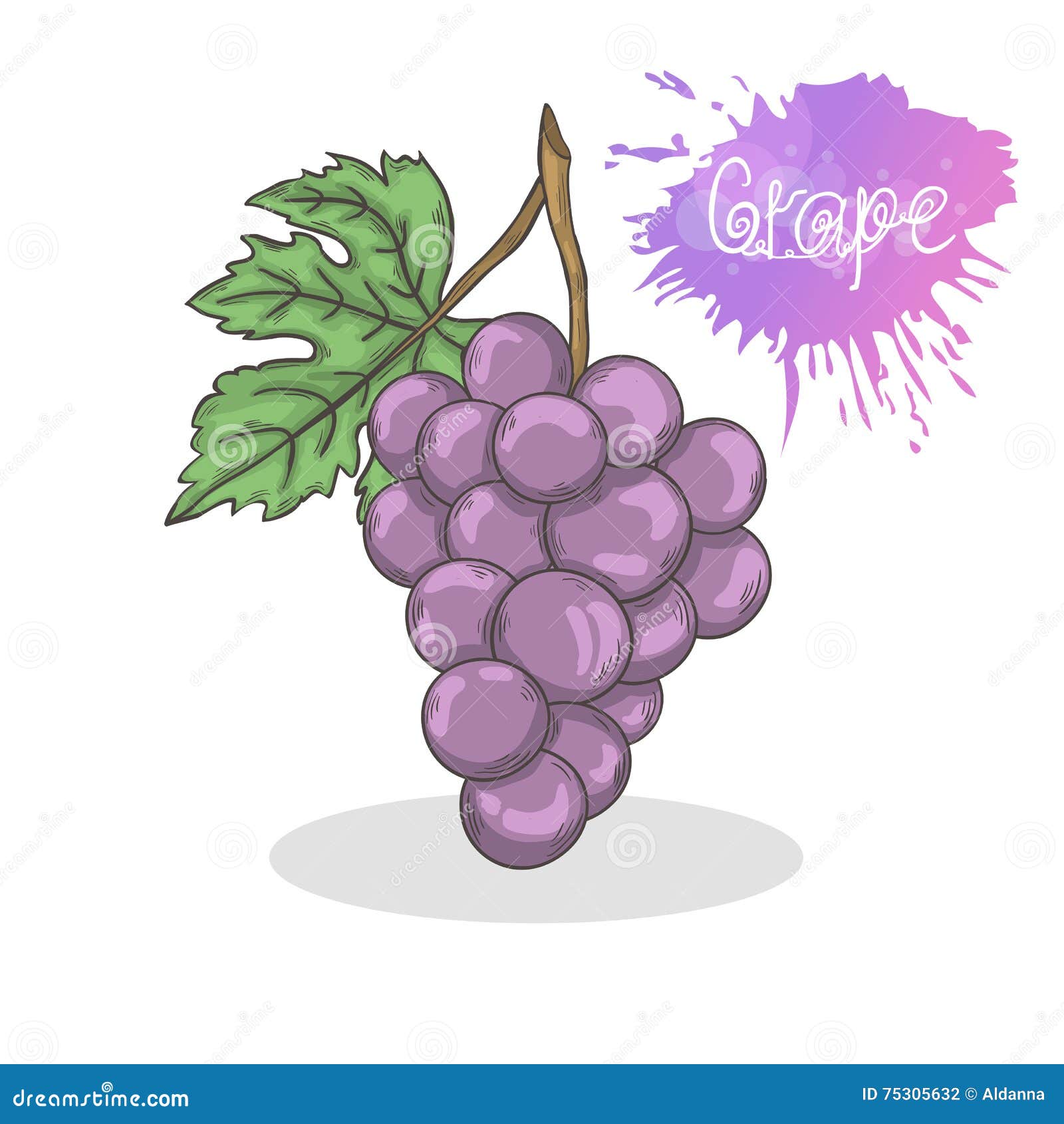 Purple Grape Icon Set. Fruits Group Vector Illustration. Different ...