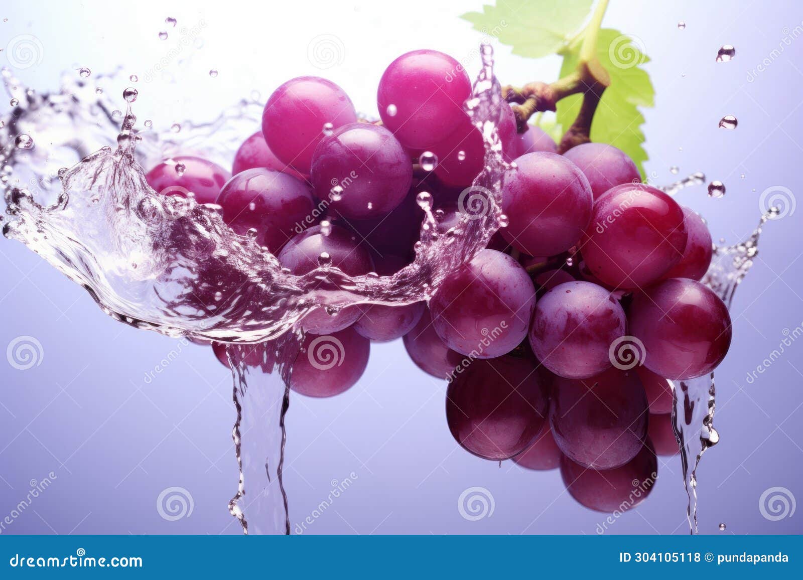 Purple Grapes in a Splash of Water and Grape Juice on a White Purple ...