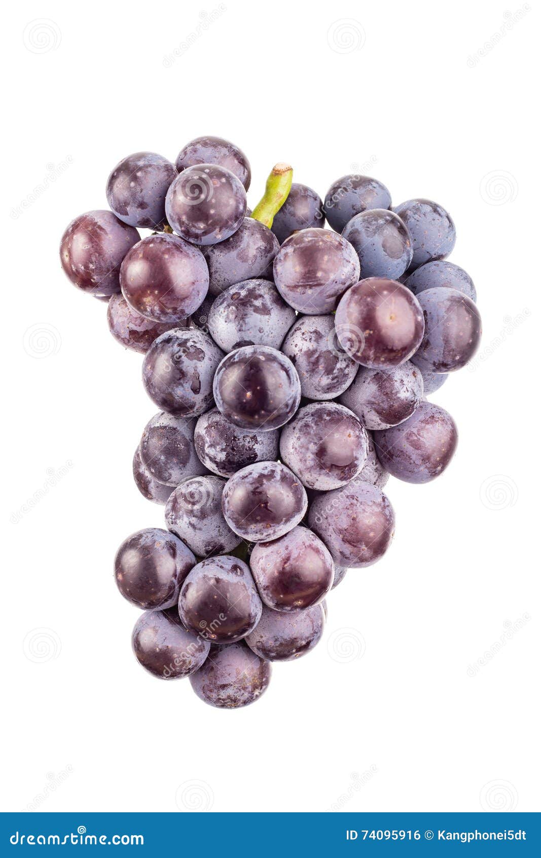 Purple Grapes on White Background. Stock Photo - Image of juicy, grapes ...
