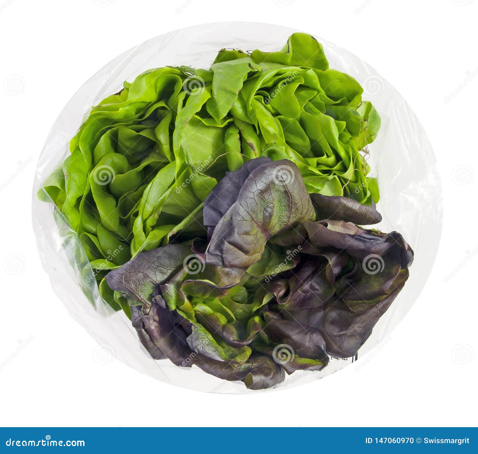 5,548 Lettuce Bag Photos - Free & Royalty-Free Stock Photos from Dreamstime