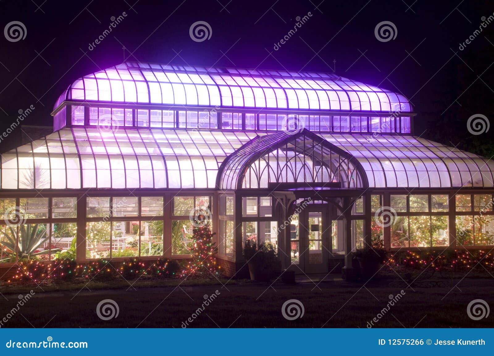 Purple Green House stock photo. Image of green, christmas - 12575266