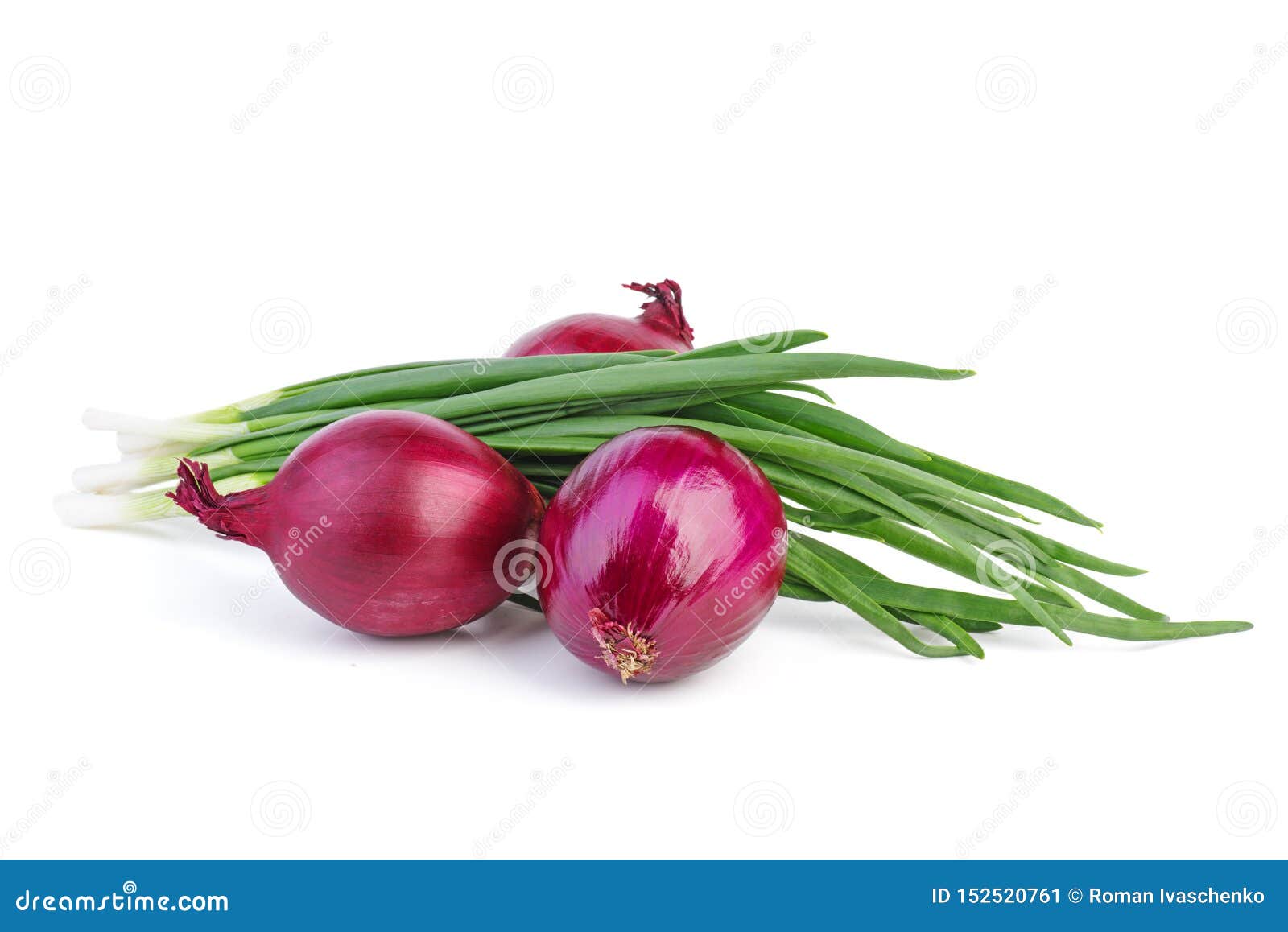 Purple and Green Spring Onion Sprouts Stock Image - Image of sweet ...
