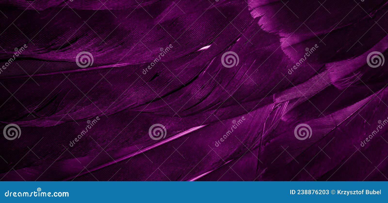 Purple Hawk Feathers with Visible Detail. Background or Texture Stock ...