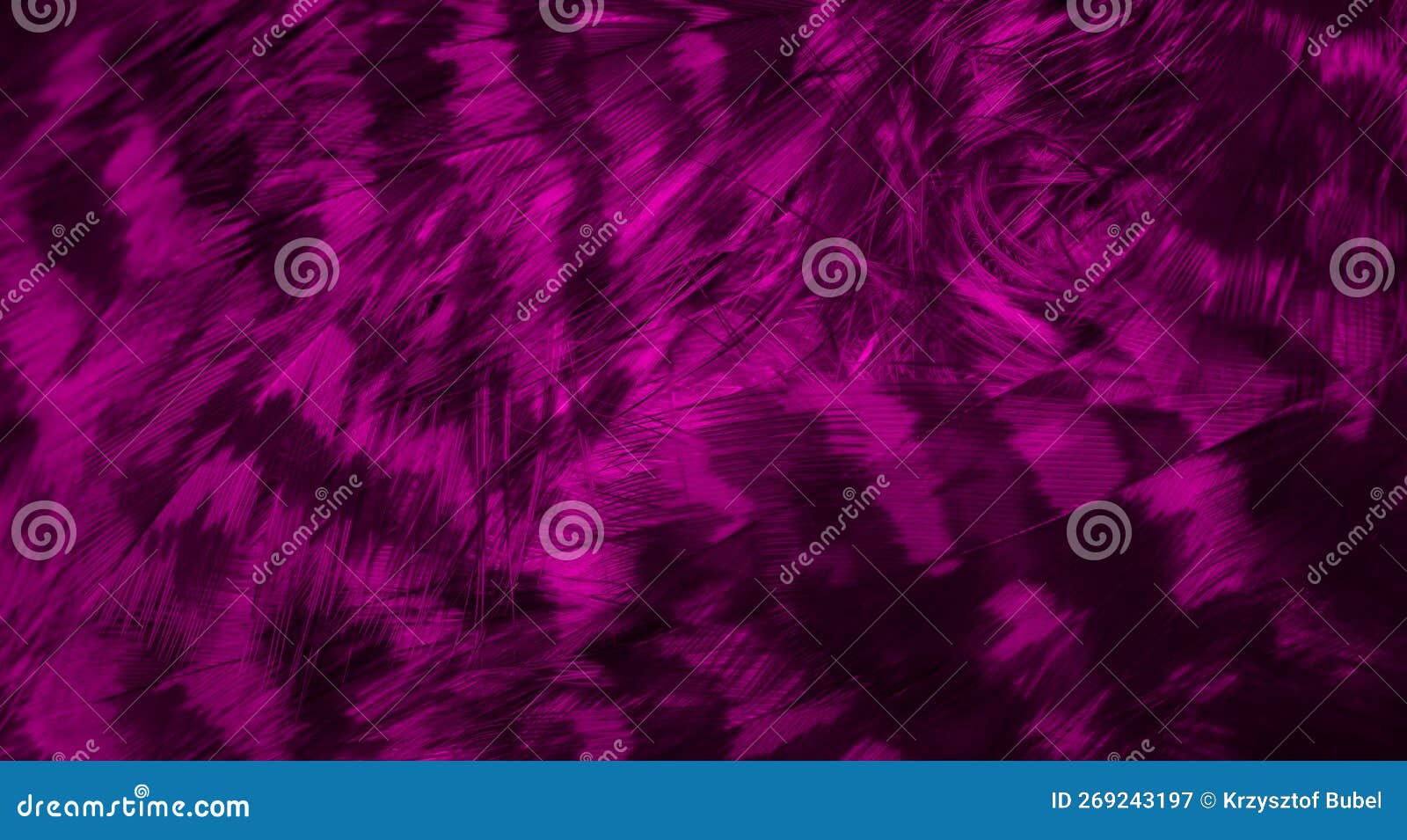 Purple Hawk Feathers with Visible Detail. Background or Texture Stock ...