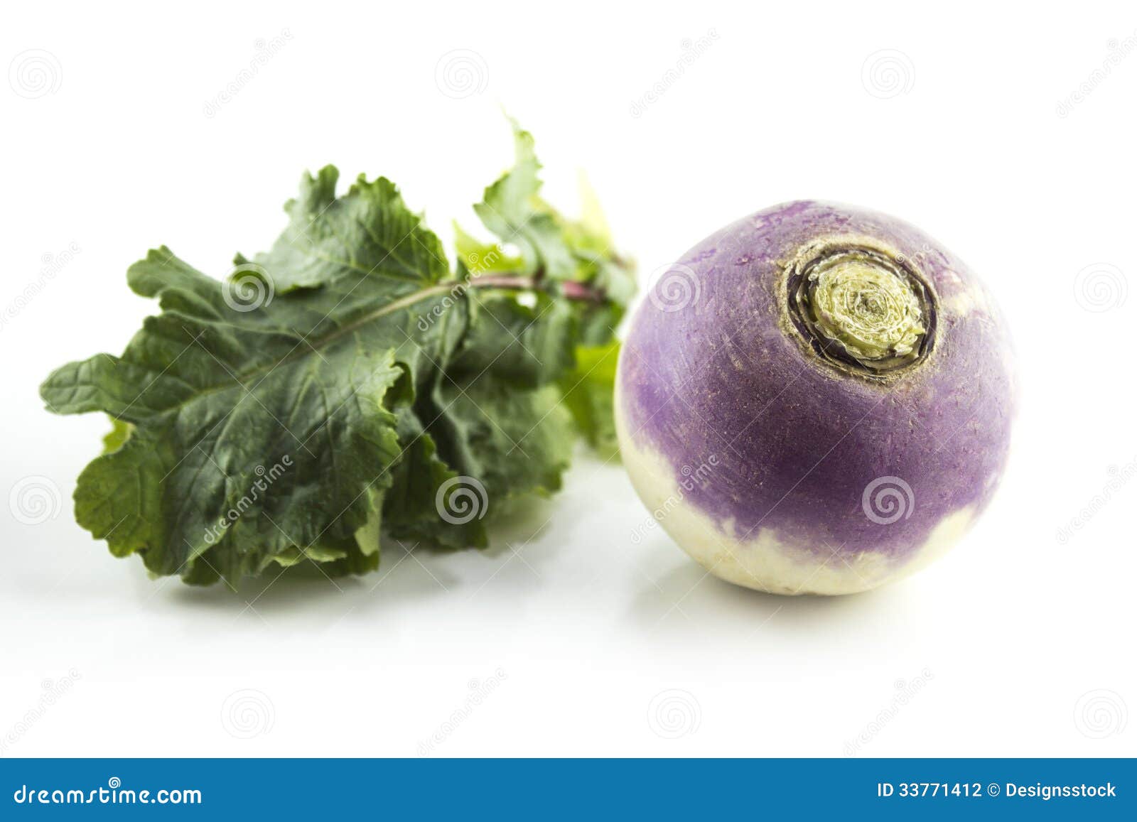 Purple headed turnips stock photo. Image of color, dinner - 33771412