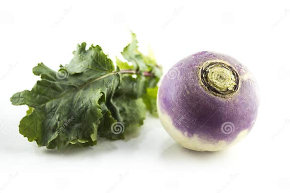 Purple headed turnips stock photo. Image of color, dinner - 33771412