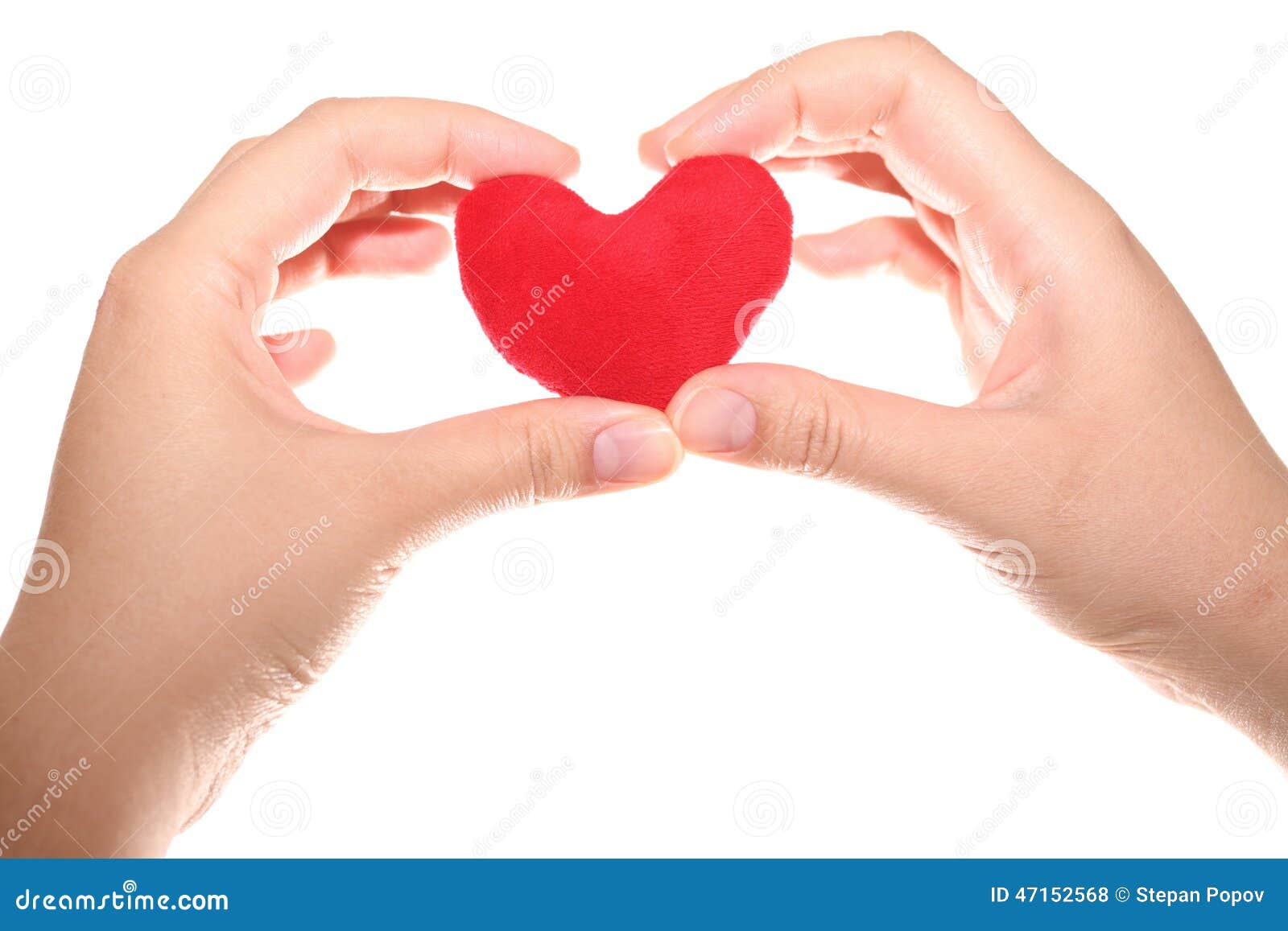 Purple heart in the hands stock photo. Image of valentines - 47152568