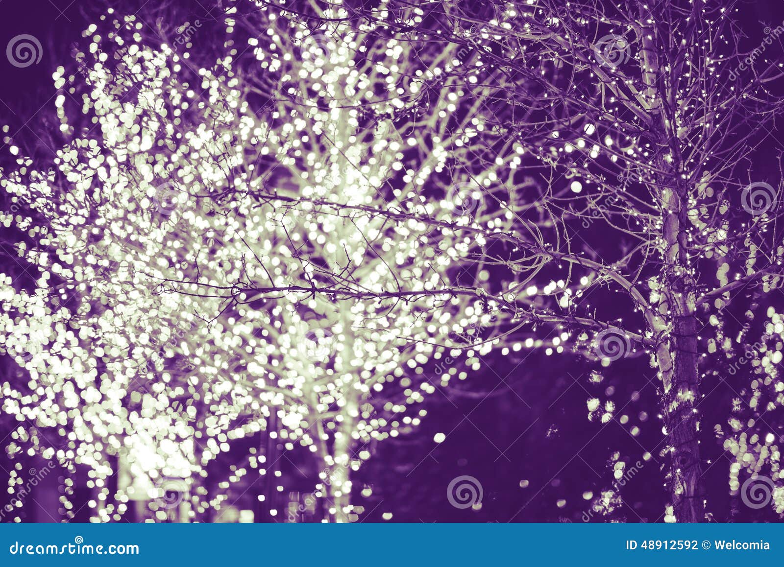 Purple Holiday Backdrop stock photo. Image of christmas - 48912592