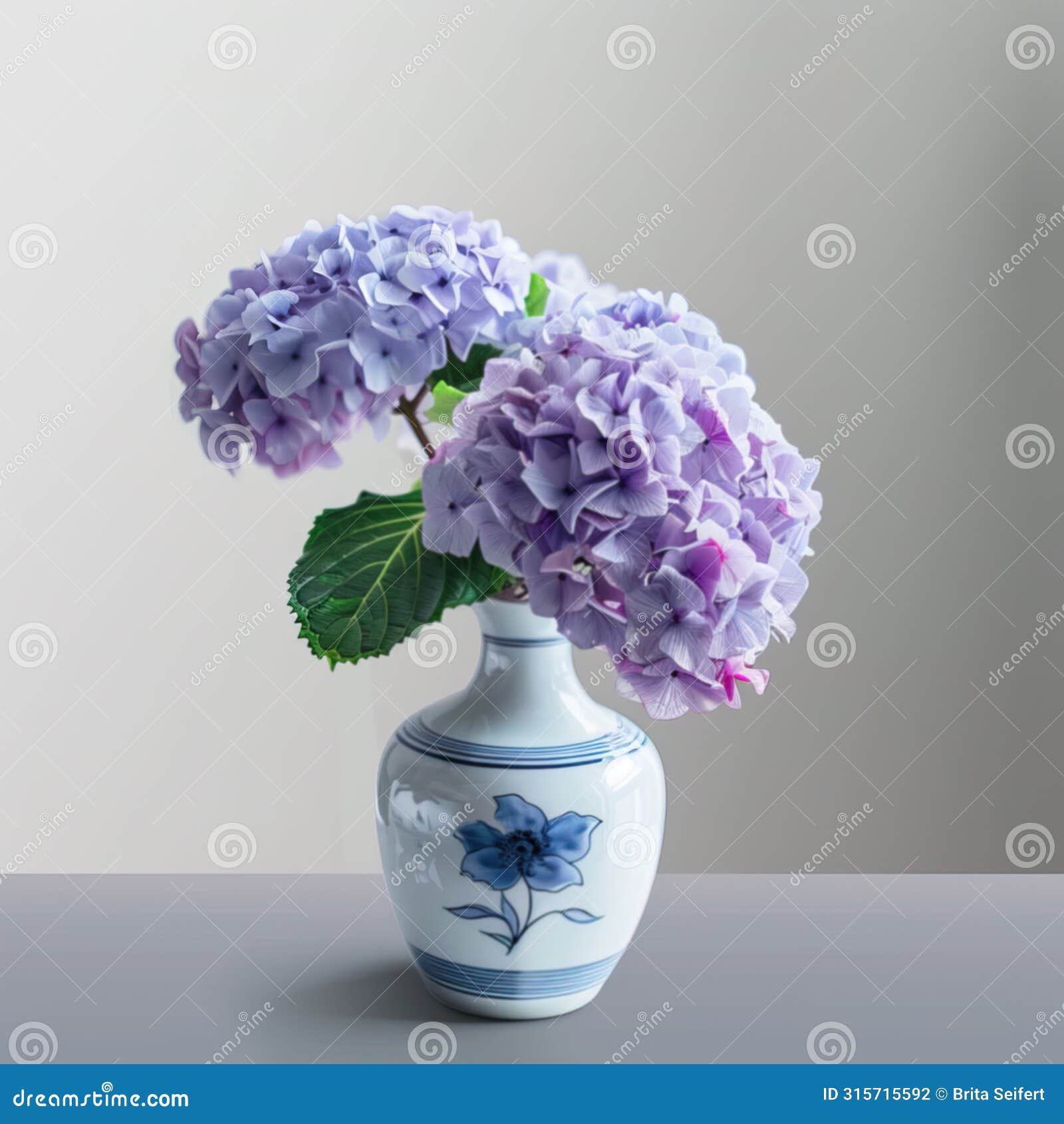 Purple Hydrangea Flower in Vase. Still Life Stock Illustration ...