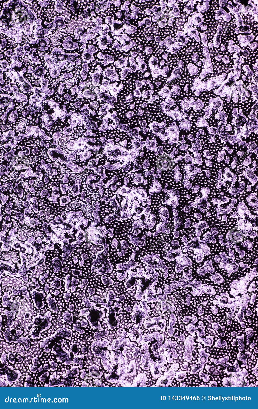 Purple Ink Splatters and Spill Stock Photo - Image of spot, splat ...