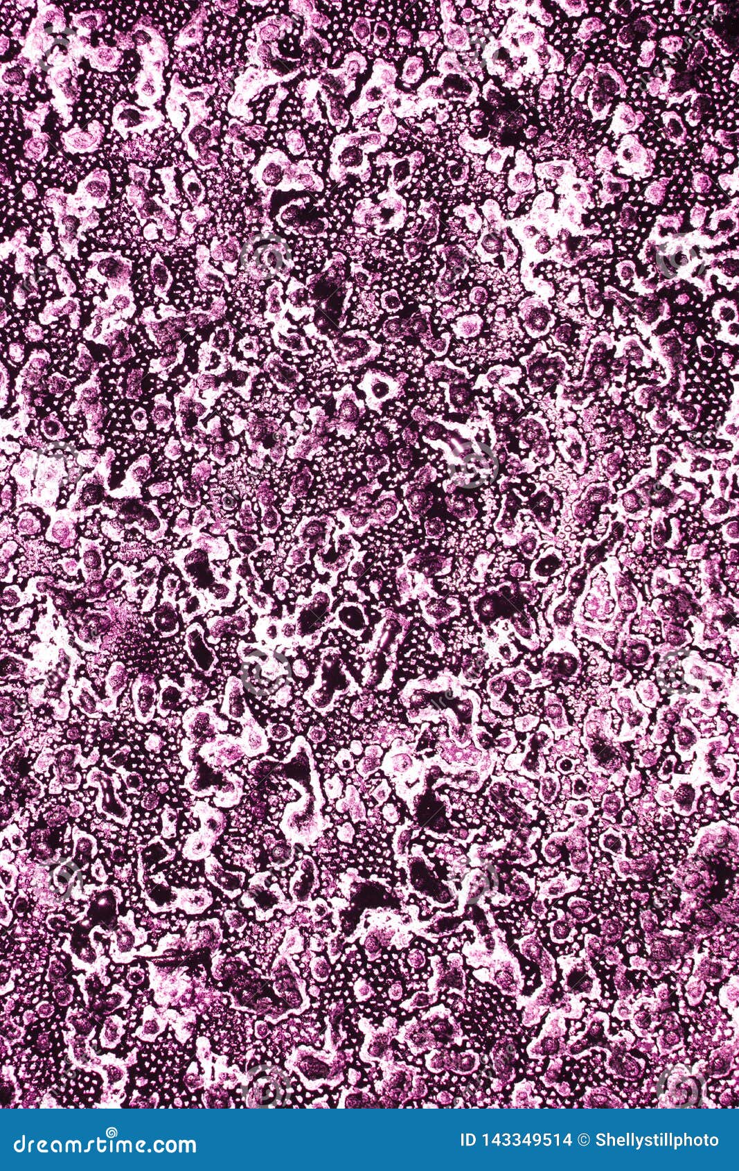 Purple Ink Splatters and Spill Stock Photo - Image of splashing, liquid ...