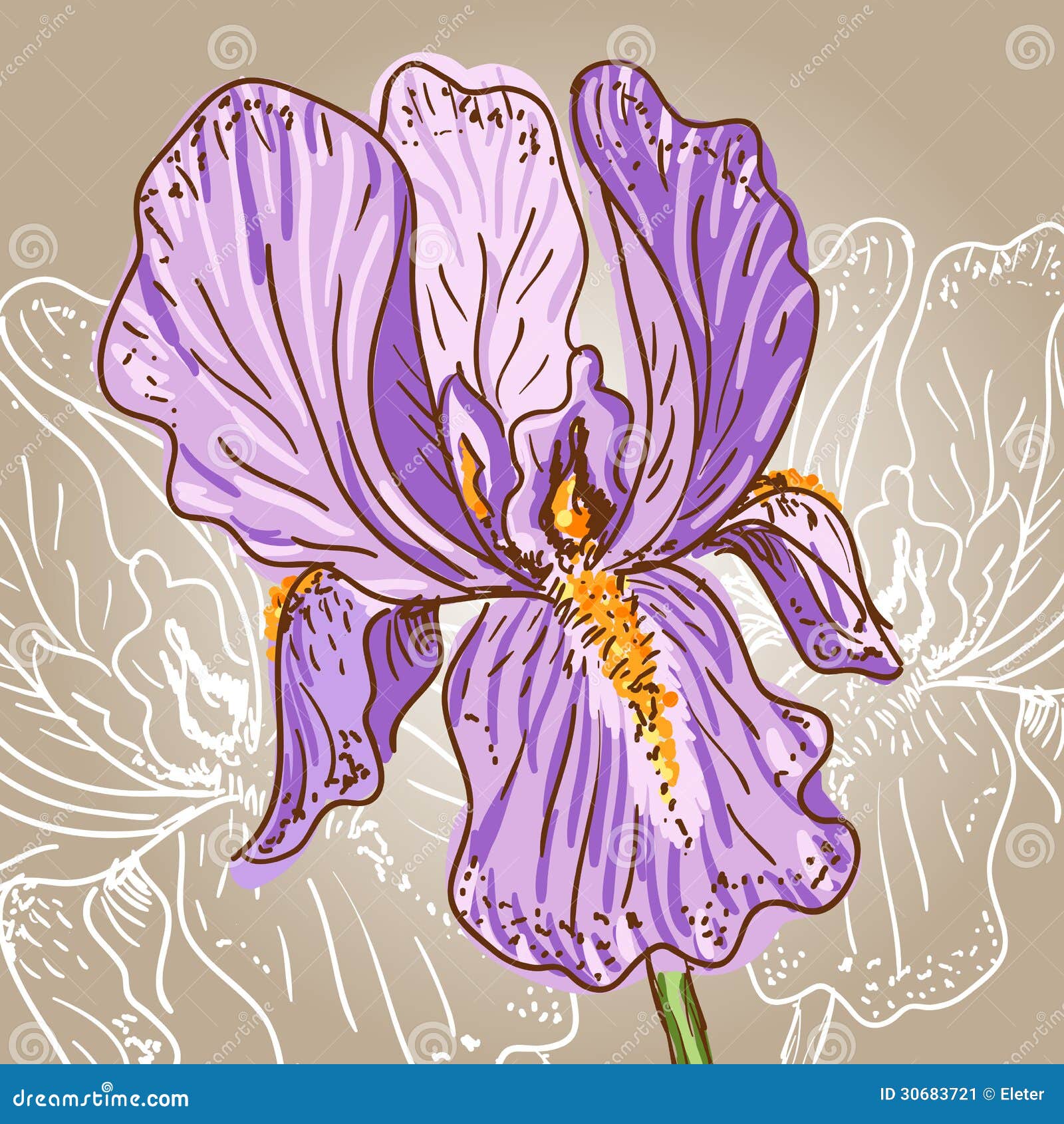 Purple Iris stock vector. Illustration of drawn, design - 30683721
