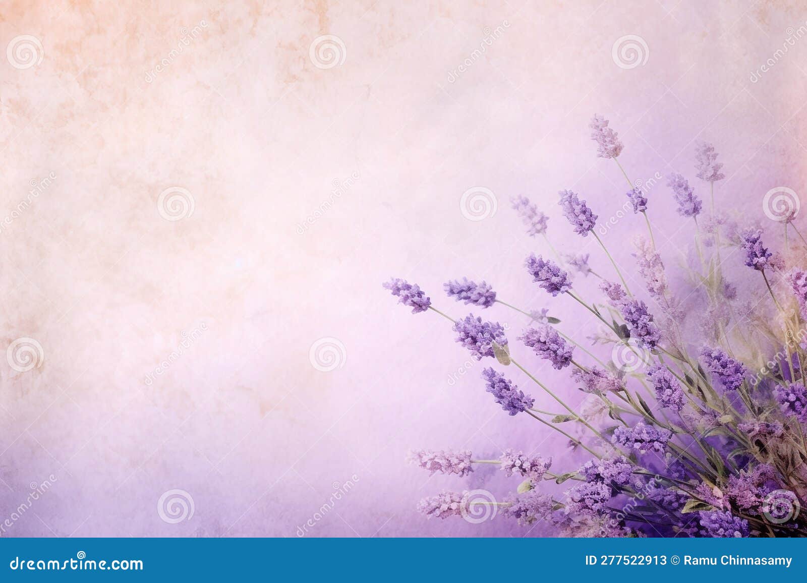 Purple Lavender Flowers Background Stock Illustration - Illustration of ...