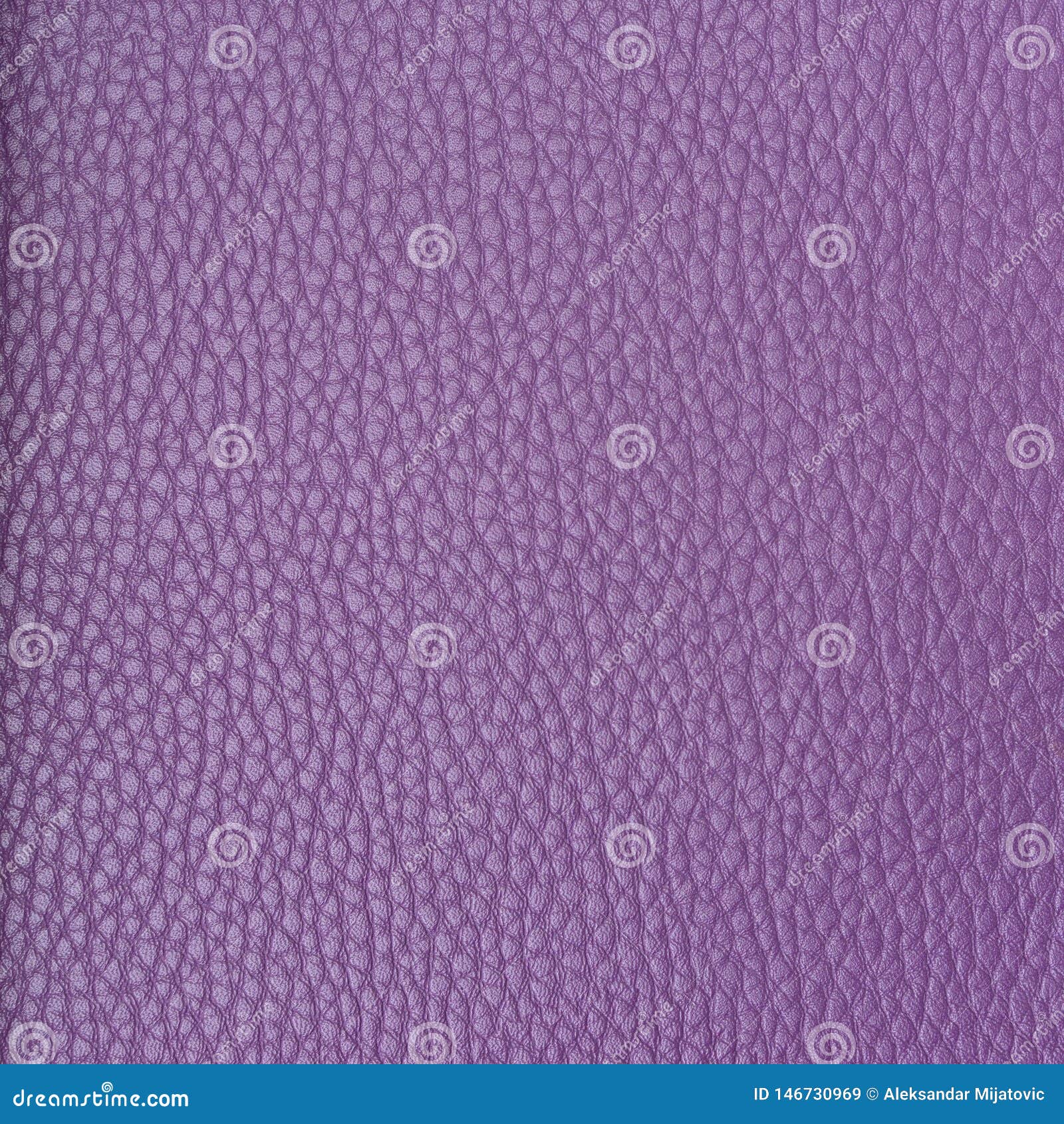 Purple leather texture stock image. Image of clothing - 146730969