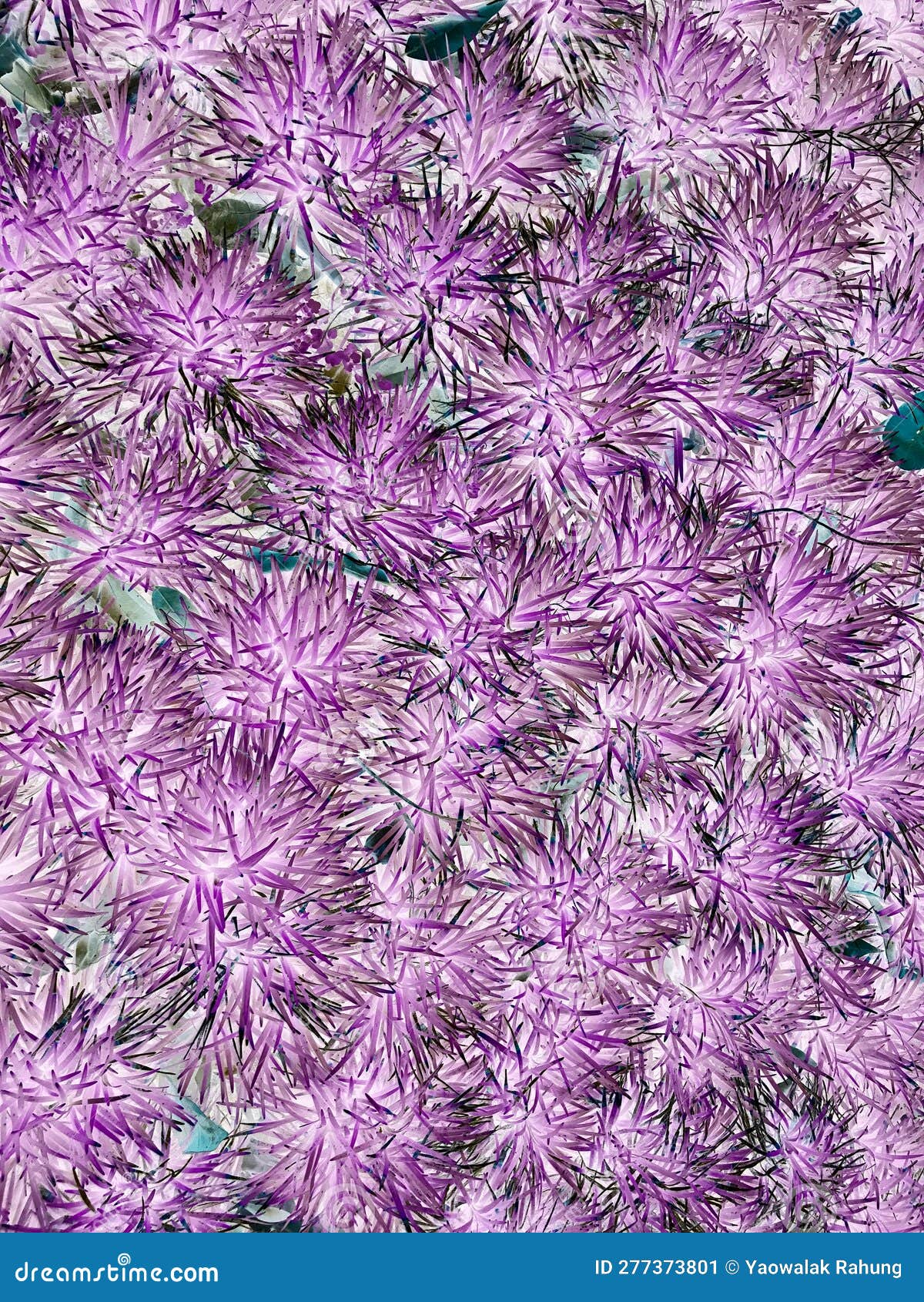 Purple Leave Tree Texture Pattern Background, Violet Ultra Concept ...