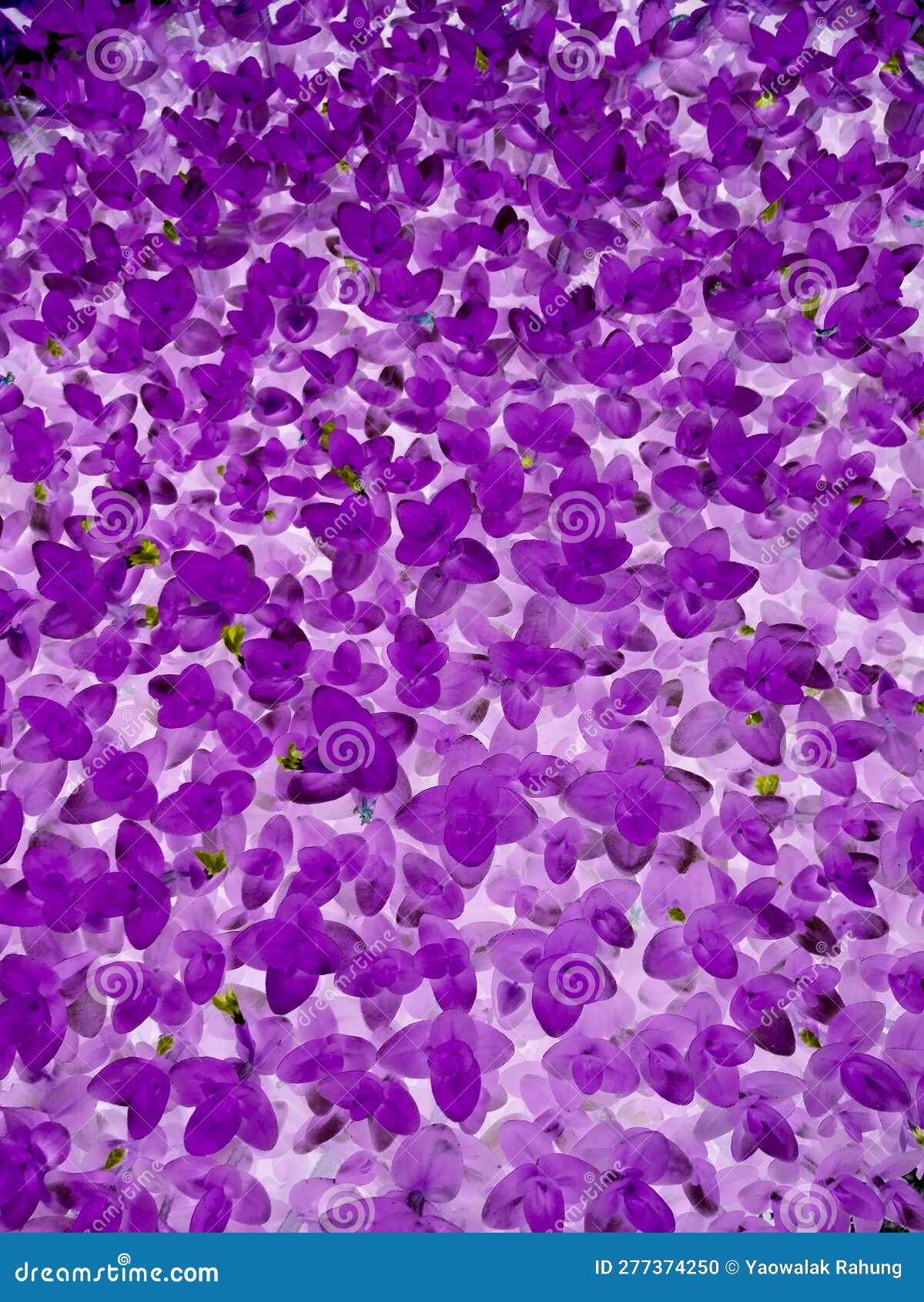 Purple Leave Tree Texture Pattern Background, Violet Ultra Concept ...