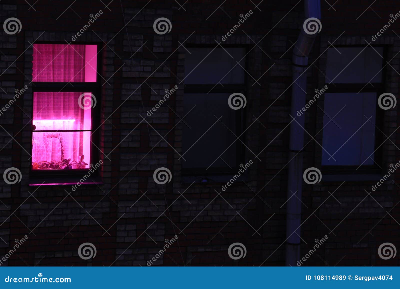 Night Window with Violet Light Stock Image - Image of flowers, design ...