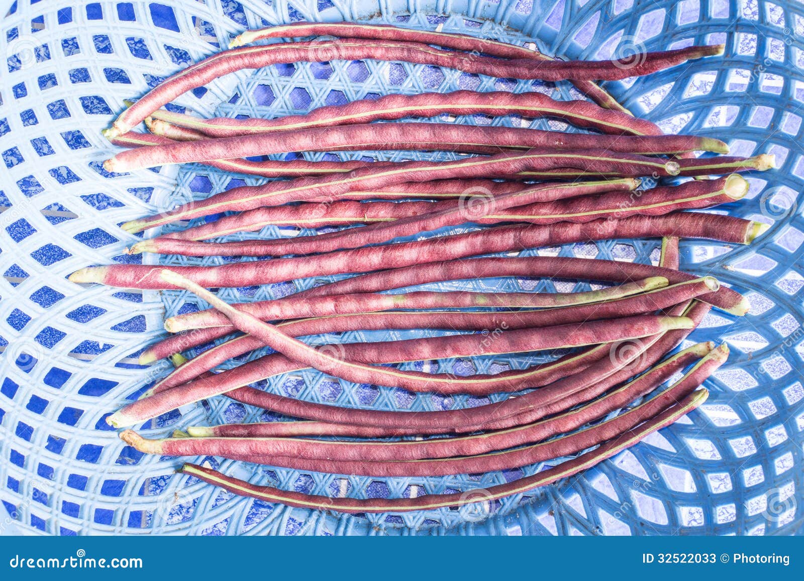 Purple long bean stock image. Image of vegetable, culture - 32522033