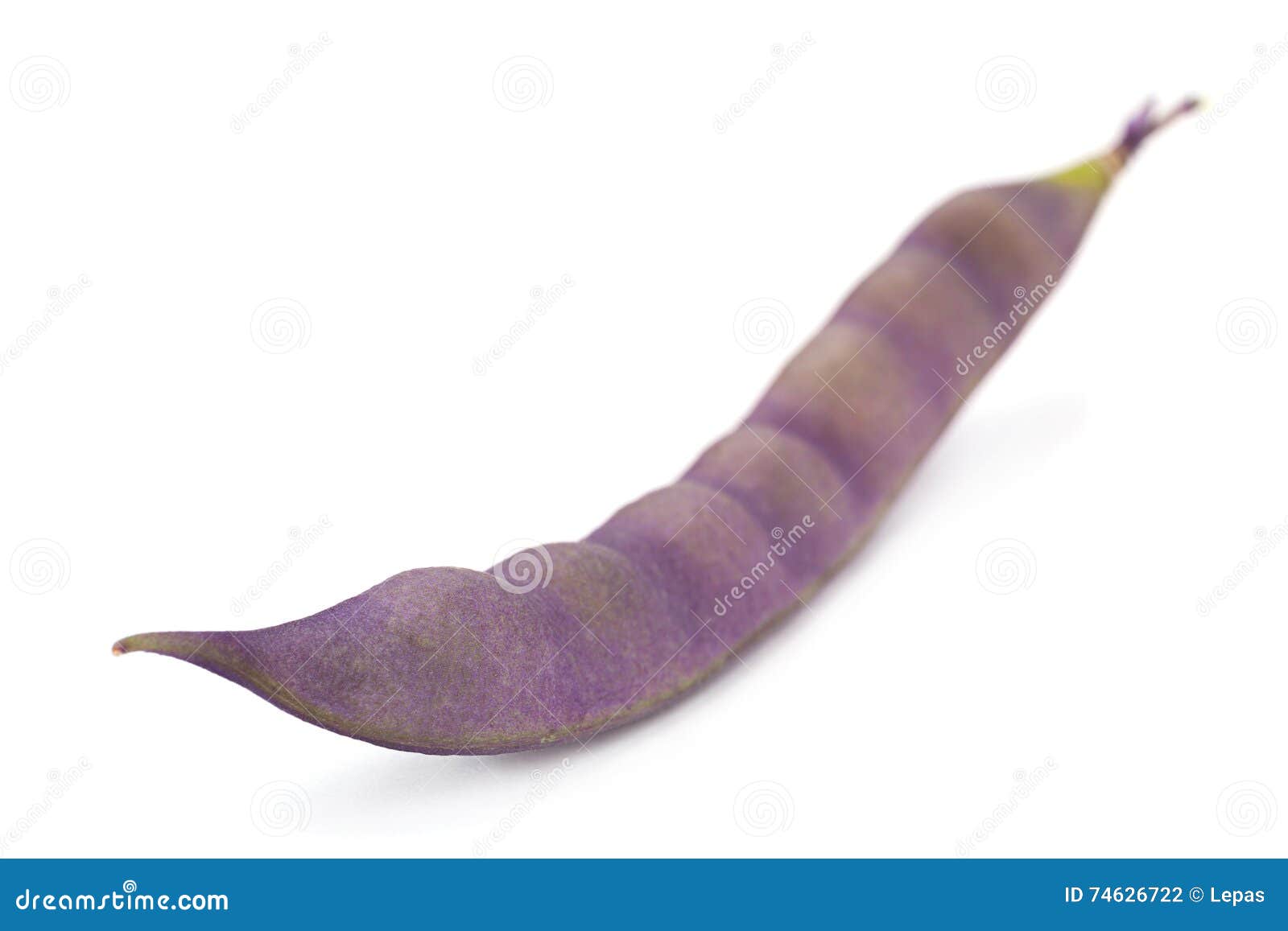 Purple long bean stock photo. Image of healthy, nutrition - 74626722