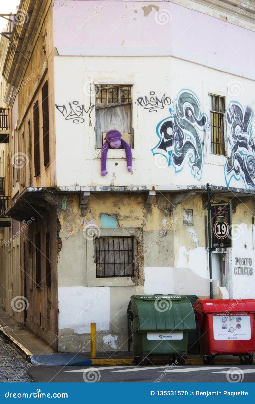 Purple Monkey Hanging Out of a Window Editorial Image - Image of ...