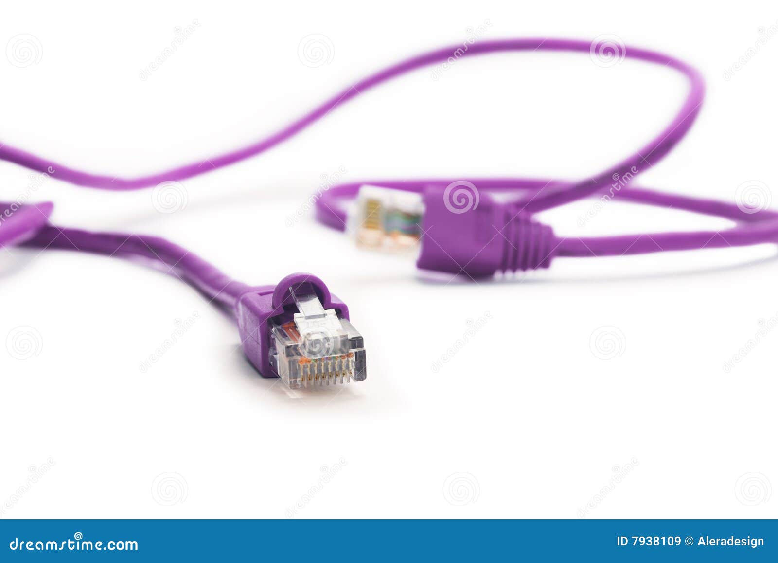 Purple network cable stock image. Image of networks, communicate - 7938109