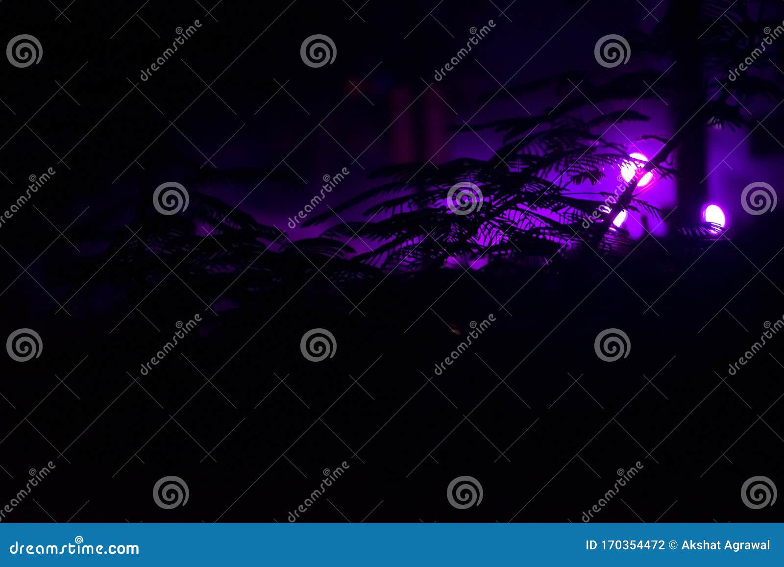 Purple Night DJ Scenes stock photo. Image of plants - 170354472