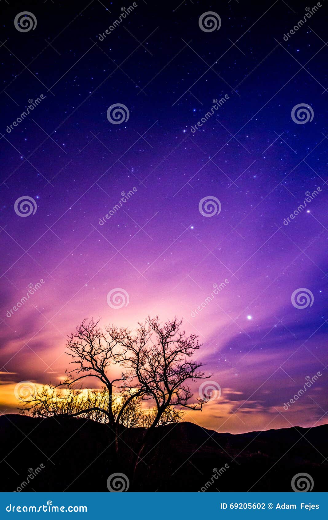 Purple night sky stock photo. Image of purple, foreground - 69205602
