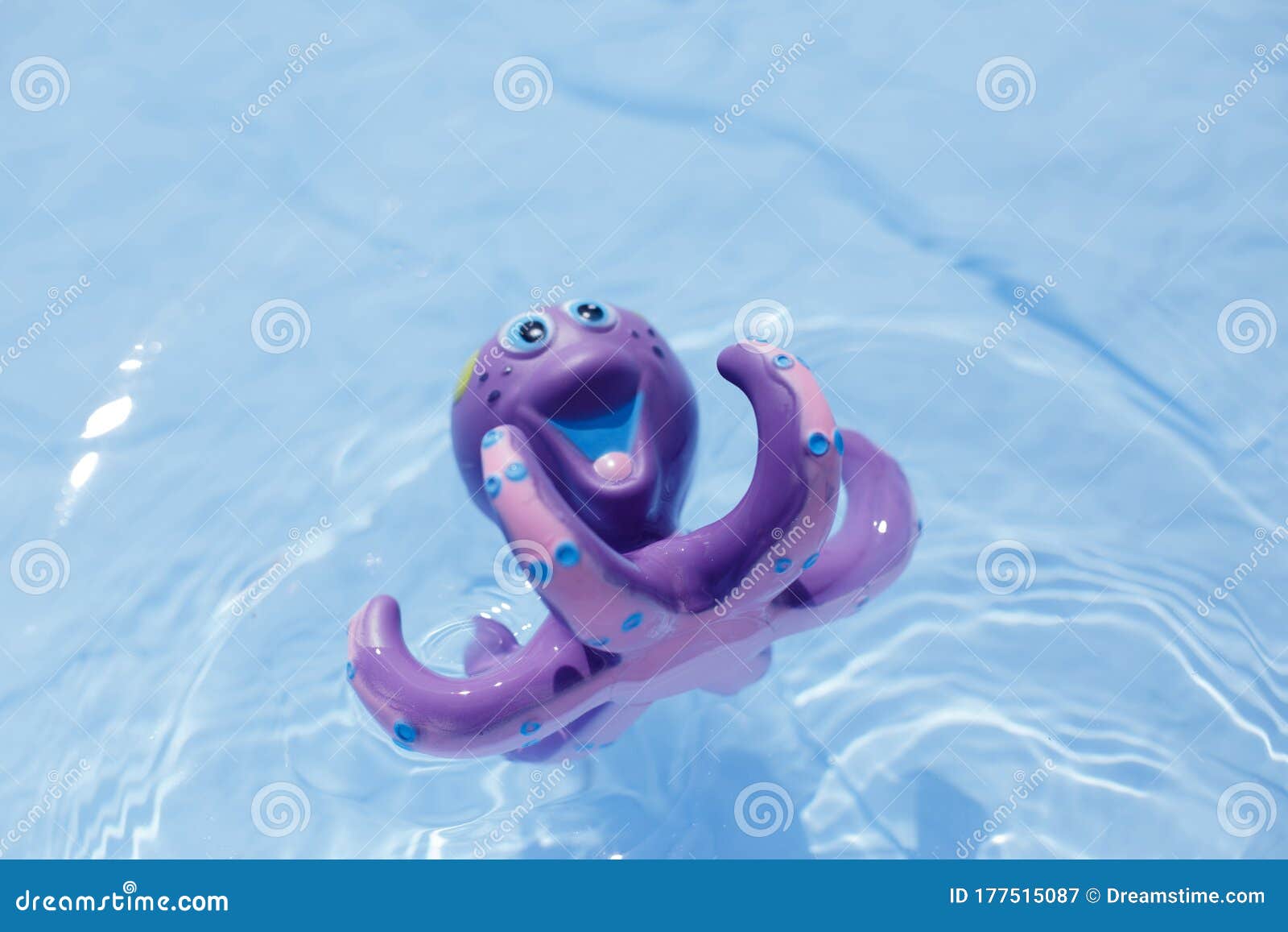 Purple Octopus in the Blue Water Stock Image - Image of octopus ...