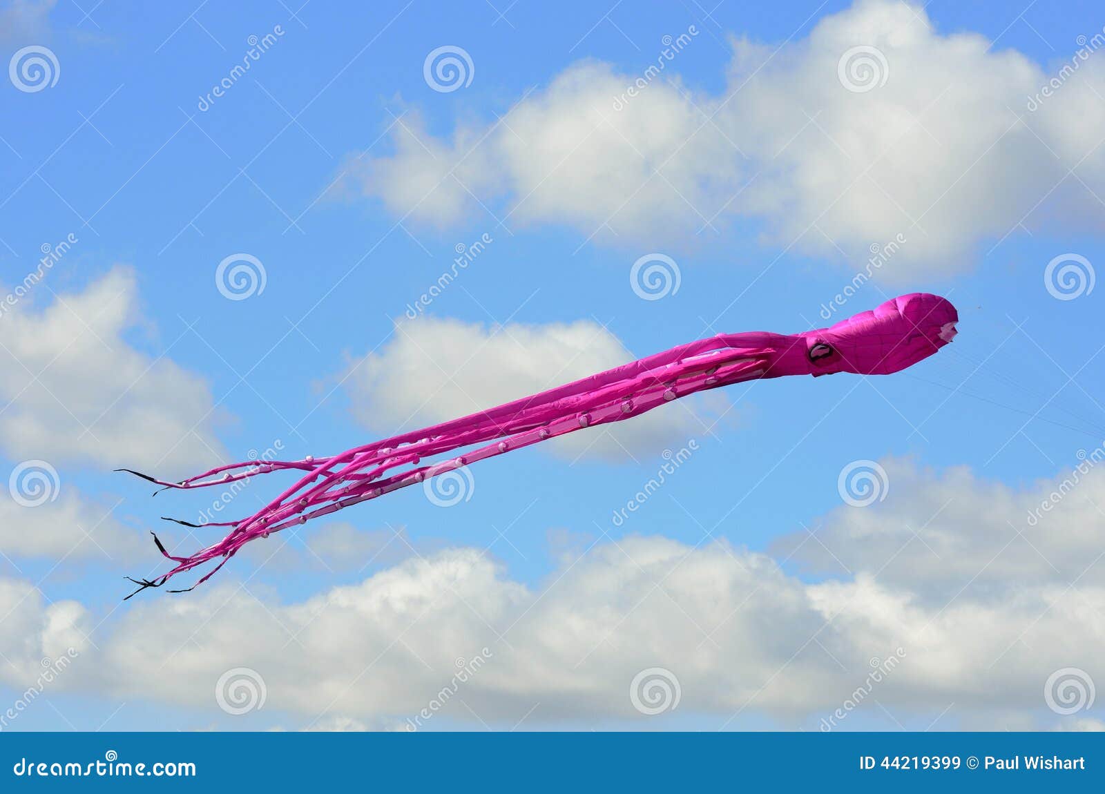 Purple octopus kite stock image. Image of flying, flight - 44219399