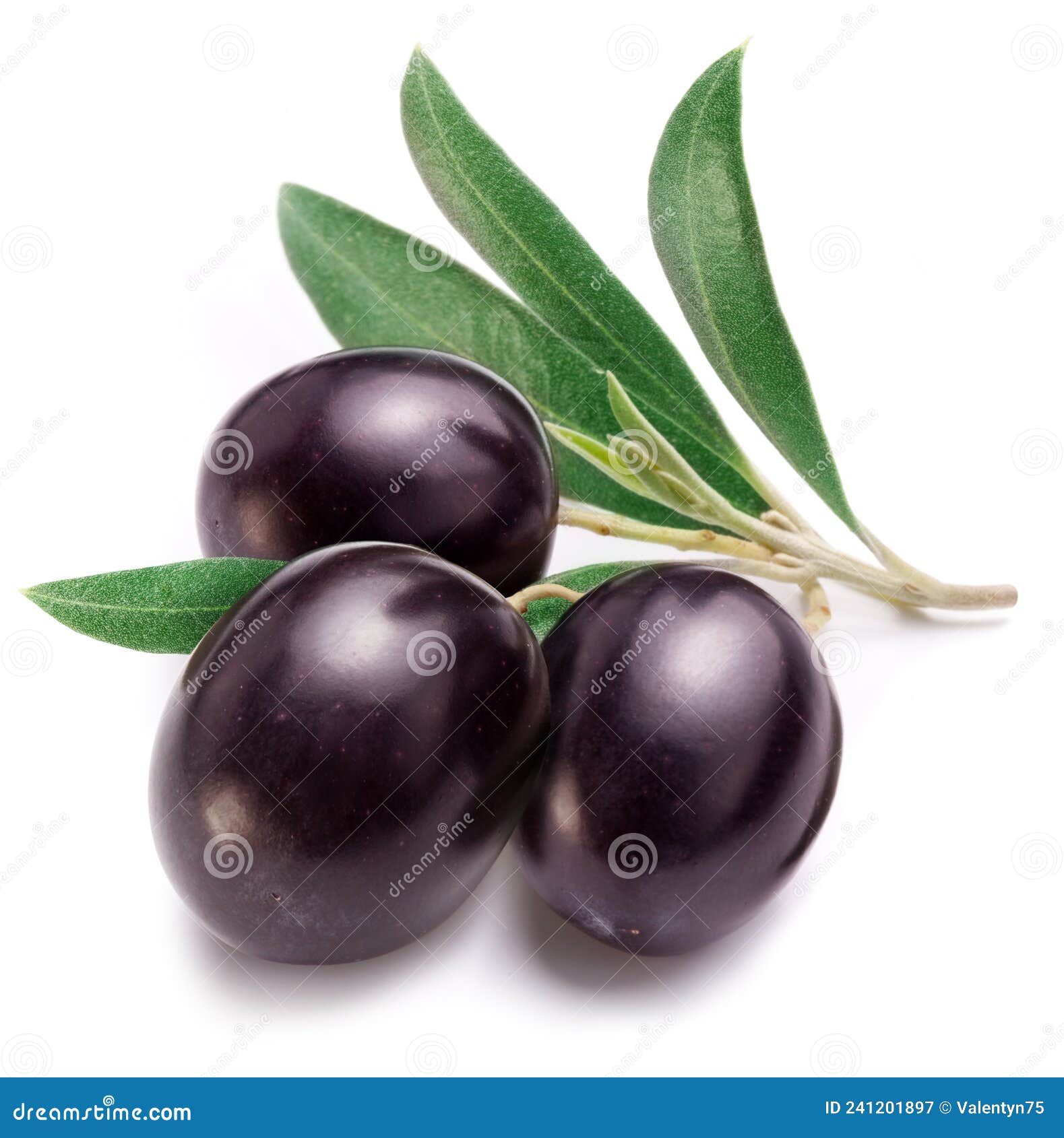 Purple Olives with Leaves on White Background. Close-up Stock Image ...