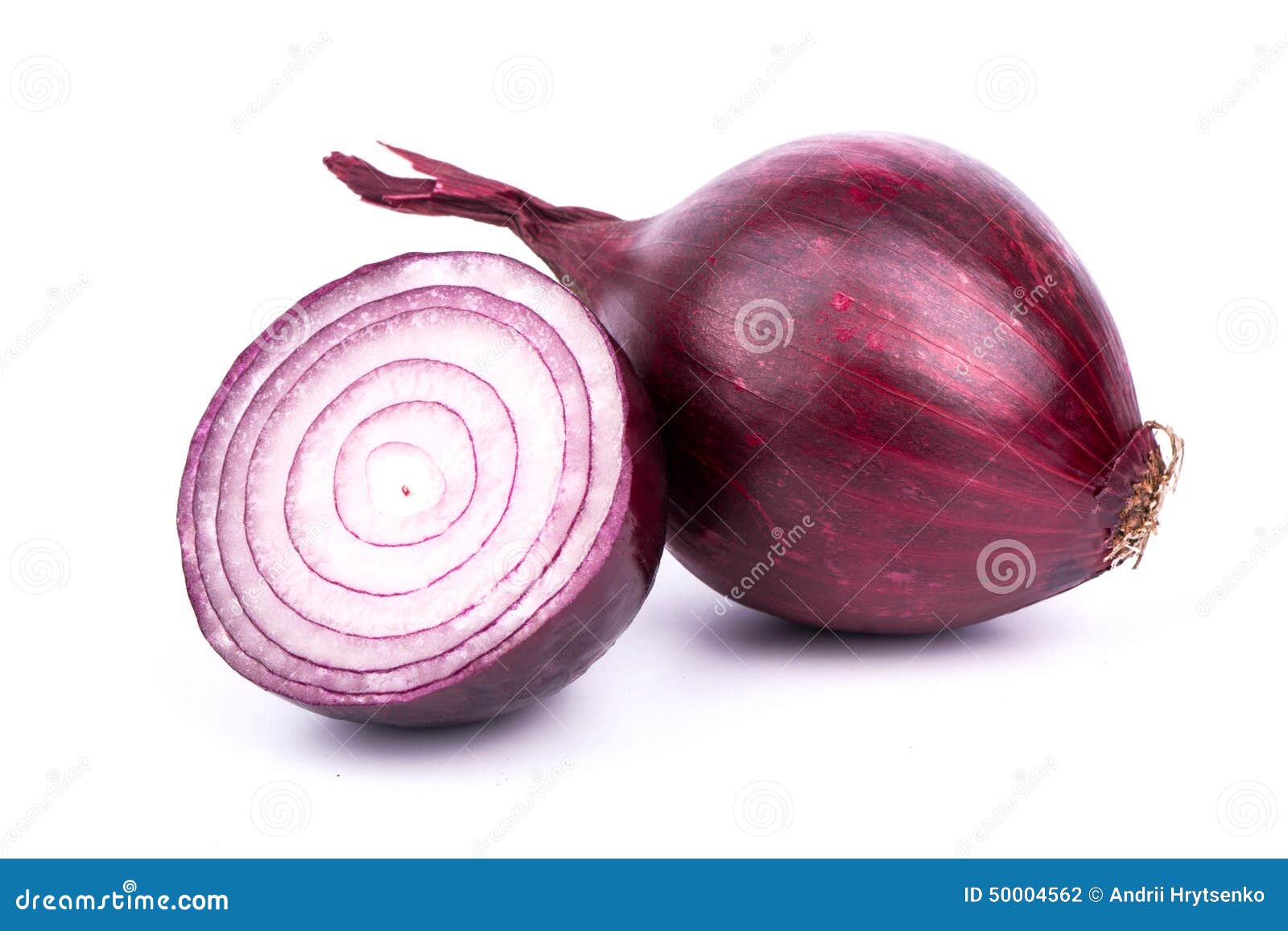 Purple onion stock photo. Image of food, isolated, portion - 50004562