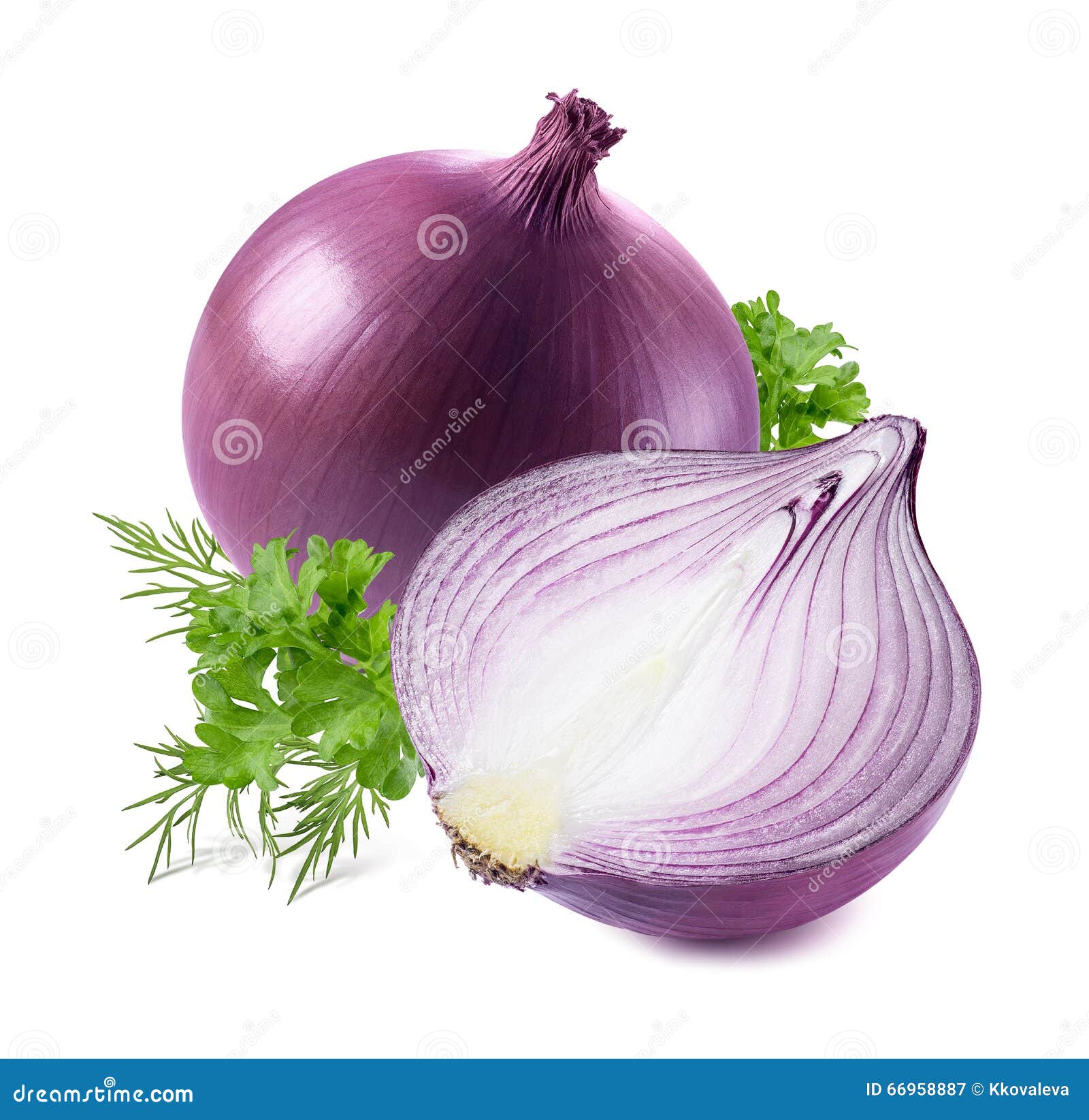 Red Or Purple Onion Slice Isolated Stock Image | CartoonDealer.com ...