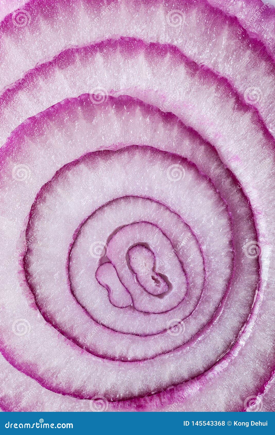 Purple Onion Slice