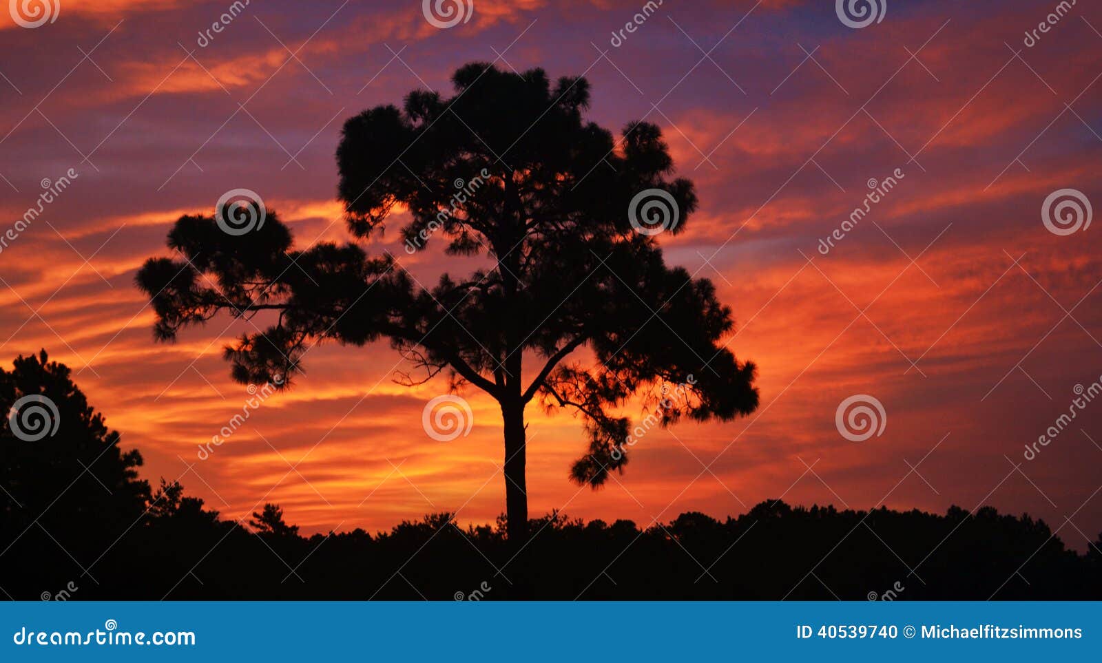Purple/Orange Sunset stock photo. Image of clouds, florida - 40539740