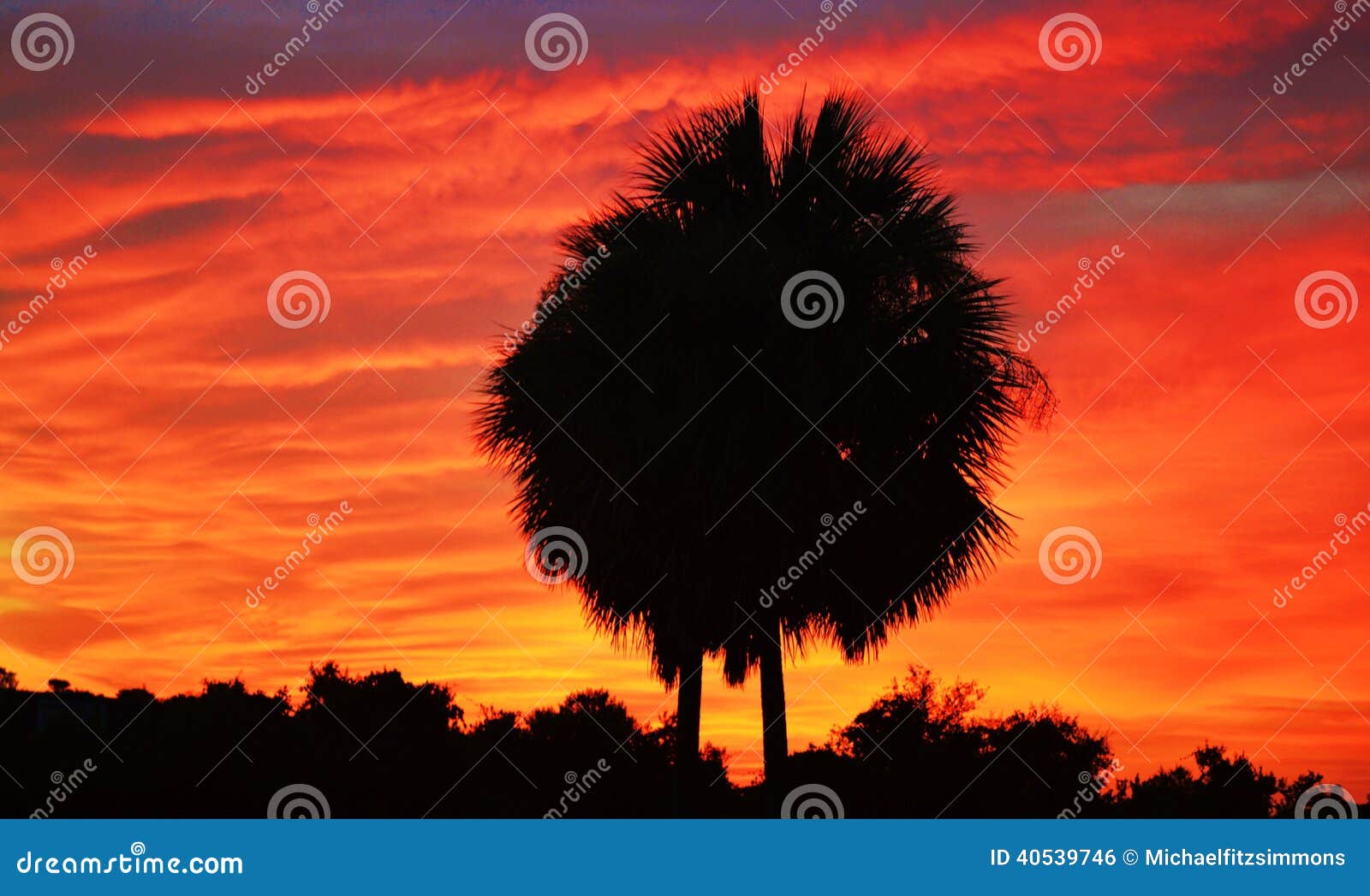 Purple/Orange Sunset stock photo. Image of florida, orange - 40539746