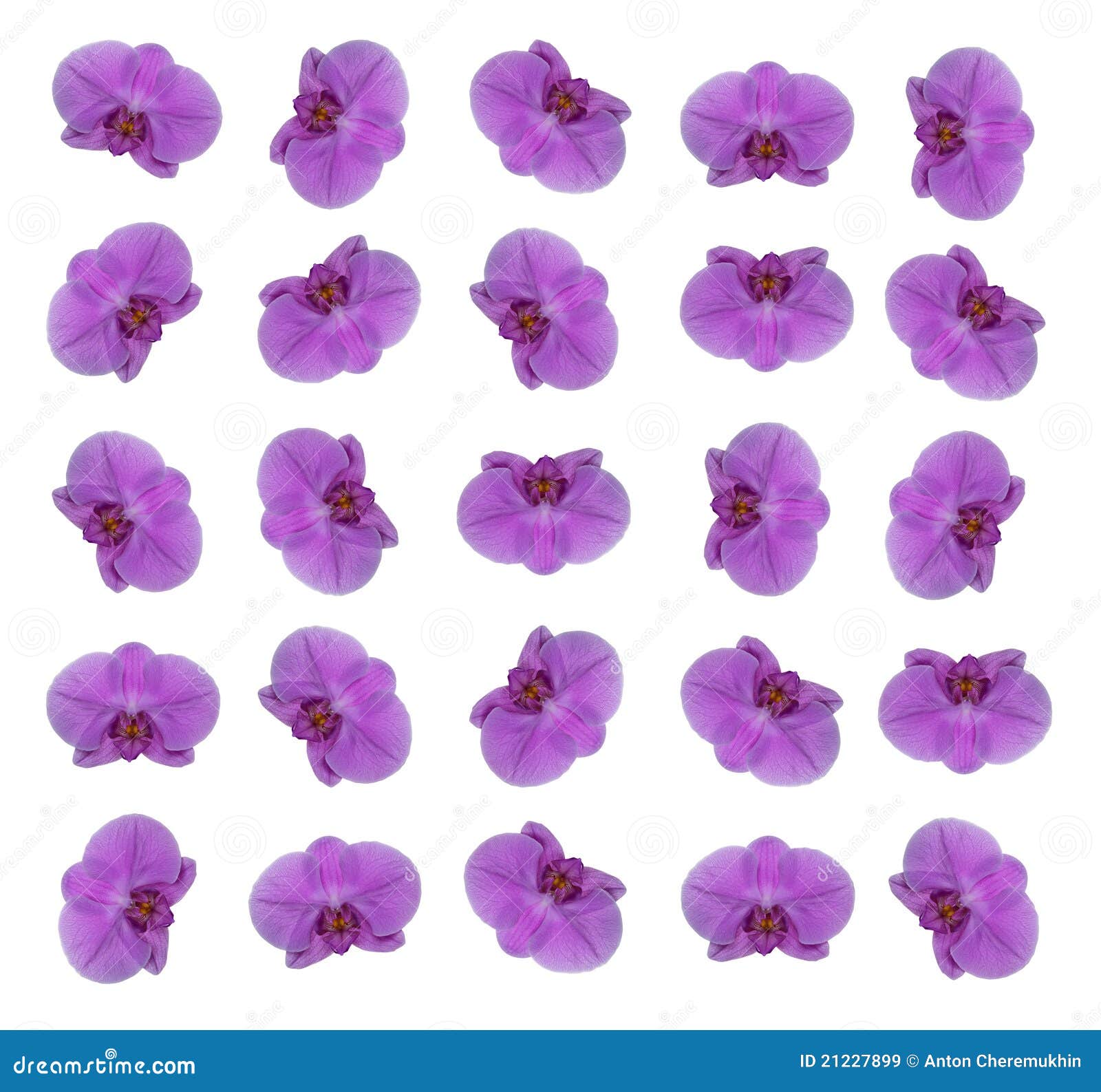 Purple Orchid Flowers Pattern Stock Image - Image of element, abstract ...