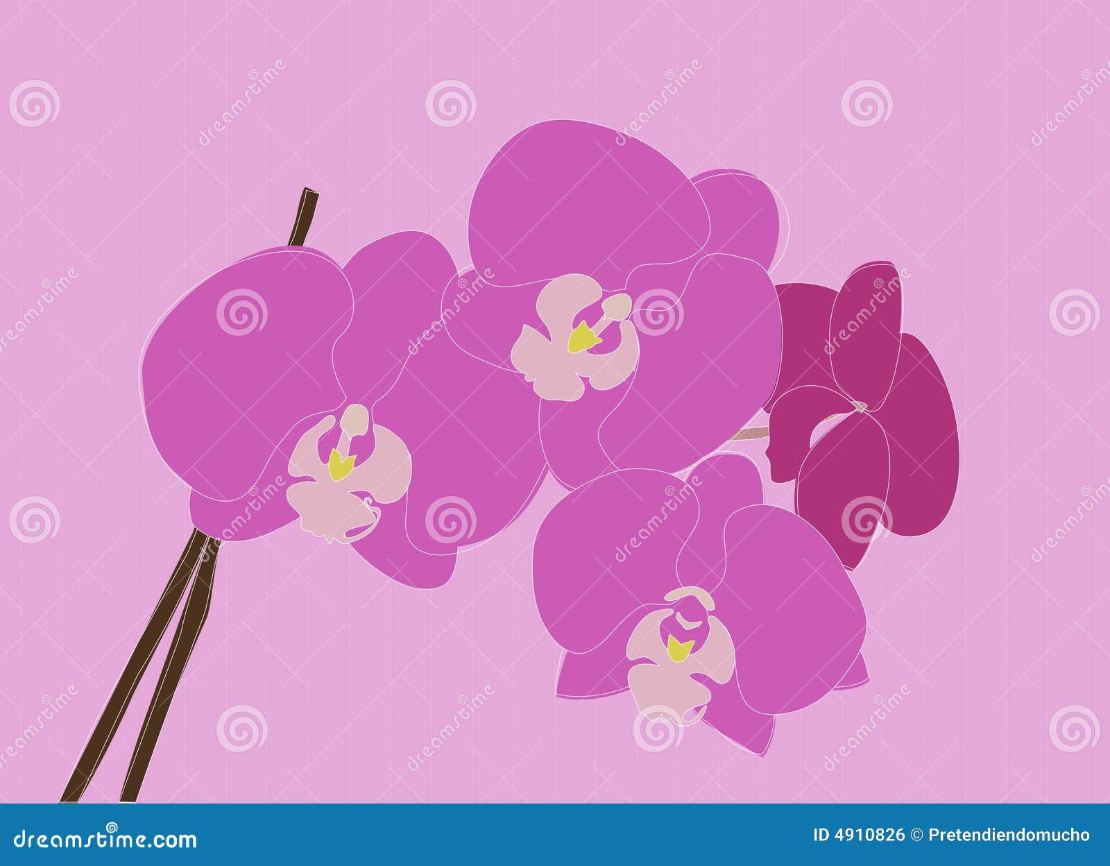 Purple Orchids stock vector. Illustration of orchid, flower - 4910826