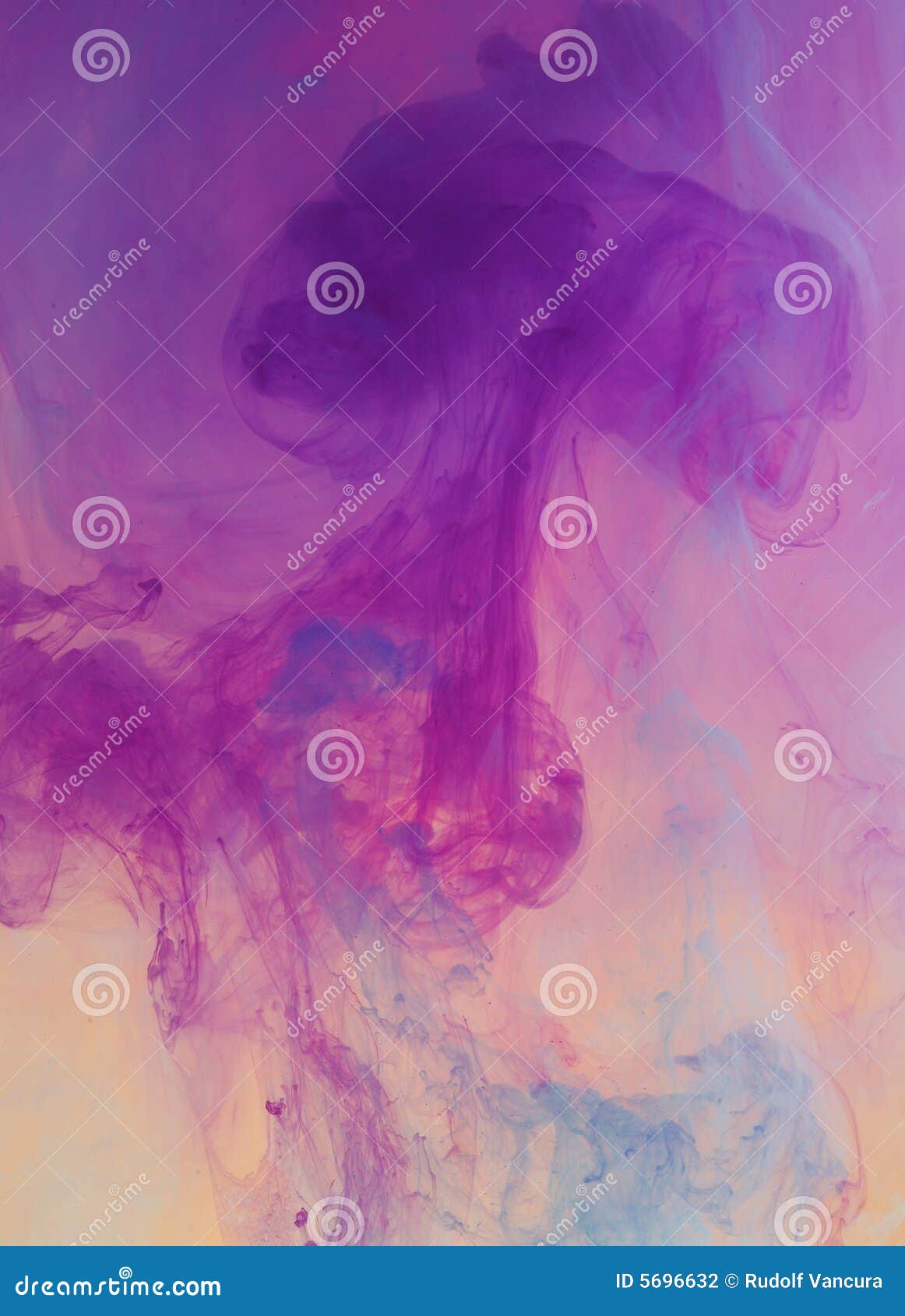 Purple Paint Mix stock photo. Image of colors, colours - 5696632