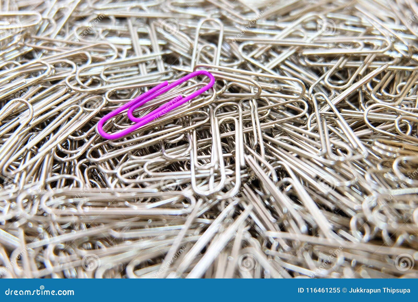 Purple Paper Clip on Paper Clips Background. Stock Image - Image of ...