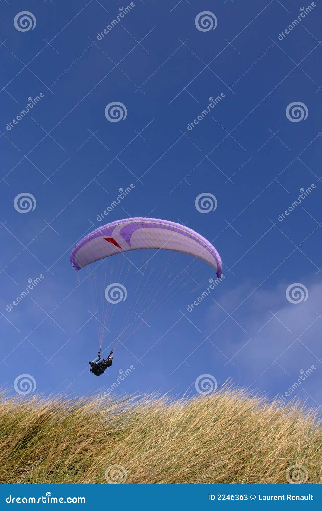 Purple paraglider stock image. Image of paragliding, male - 2246363